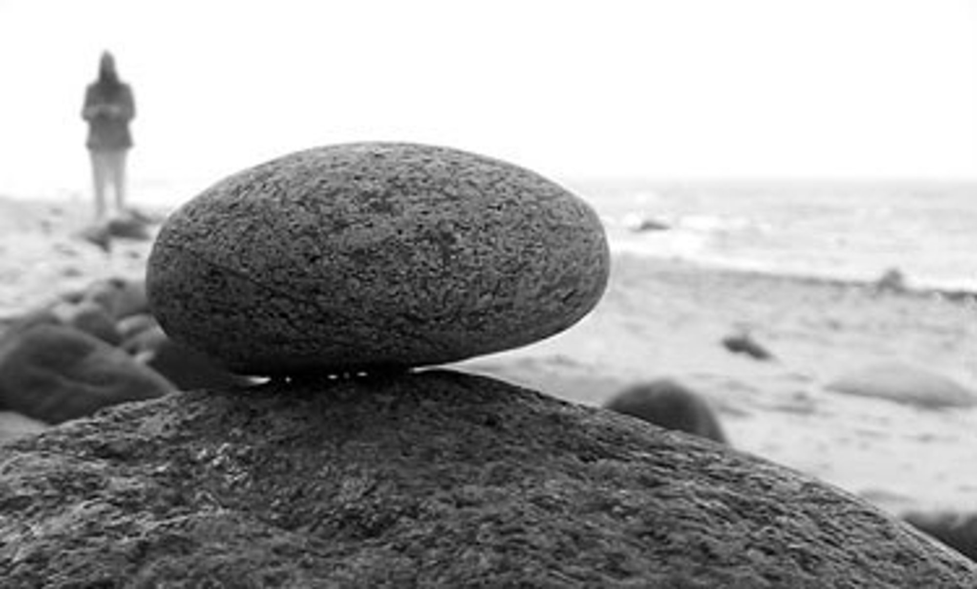 Klaipėdoje penki „buduliai” akmeniu sudaužė daną - Delfi