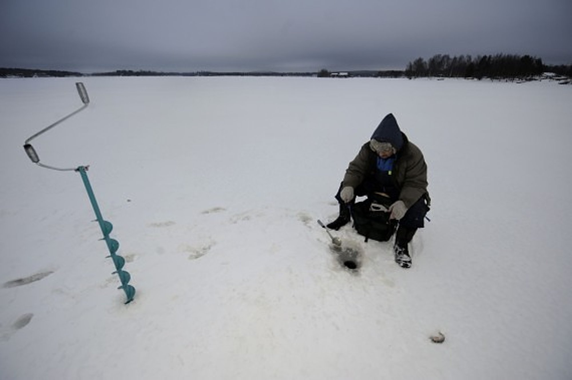 Sėkmės indikatorius – uodo trūklio lerva - Delfi grynas