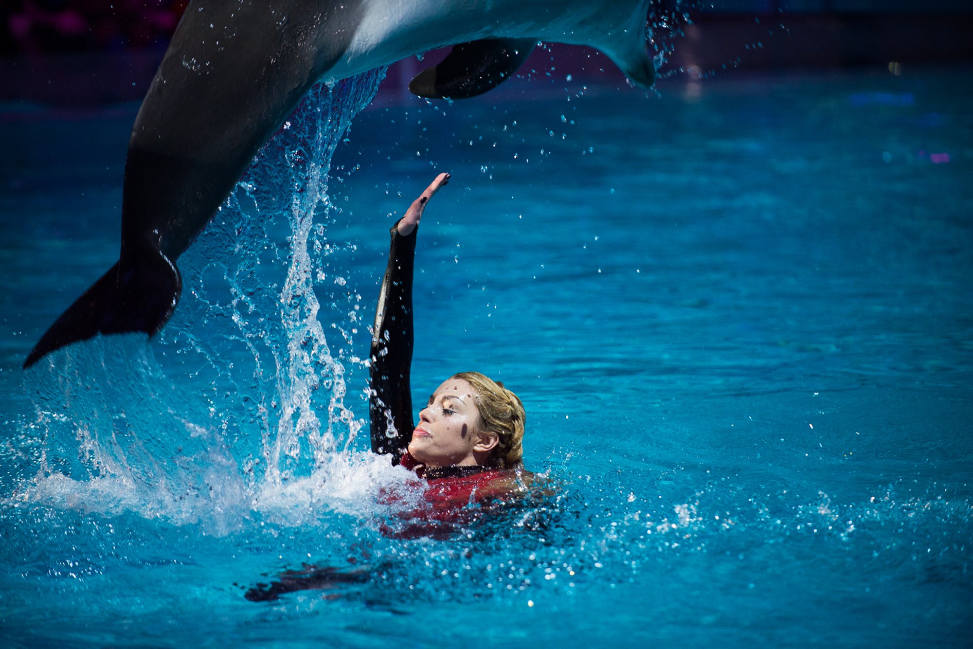 Ką „Delfinai ir žvaigždės“ dalyviai mano apie į finalą patekusius ...