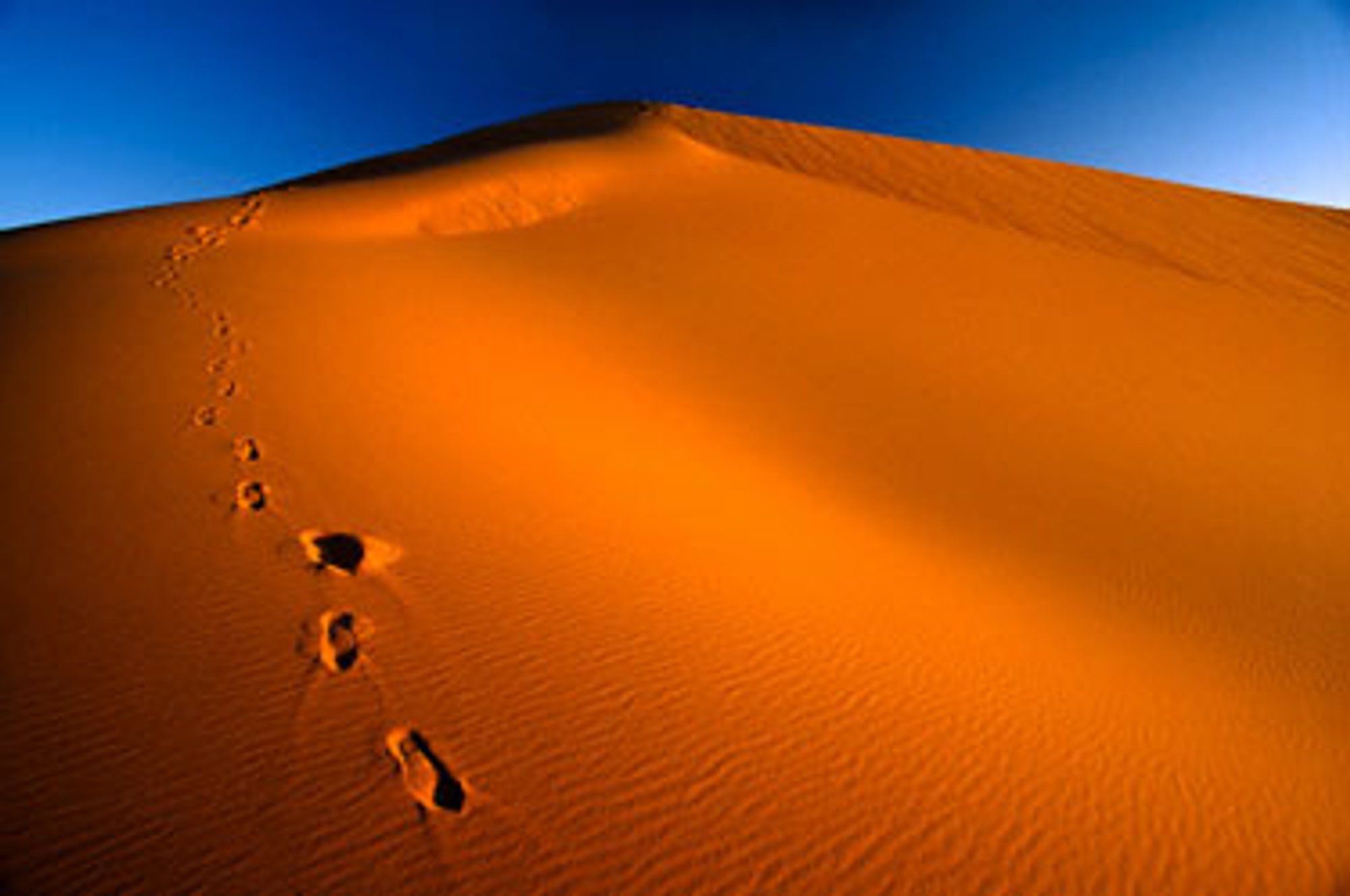 Alžyras: šalis su 1000 ir vienu veidu (I dalis) (foto) - Delfi veidai