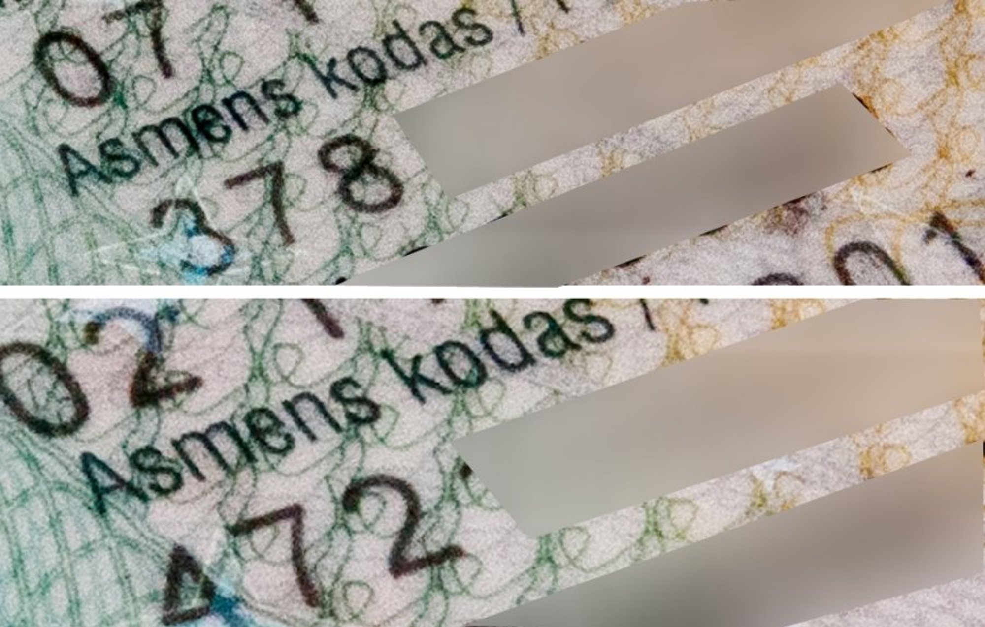 Lietuva – vis dar sukčių rojus - Delfi