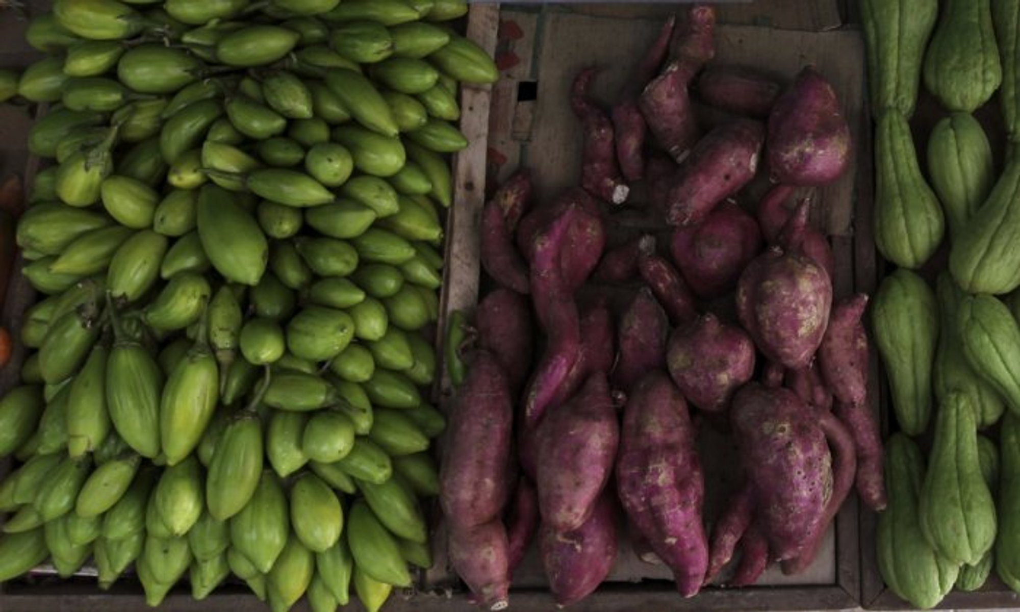 Įdomūs faktai apie daržoves - Delfi grynas