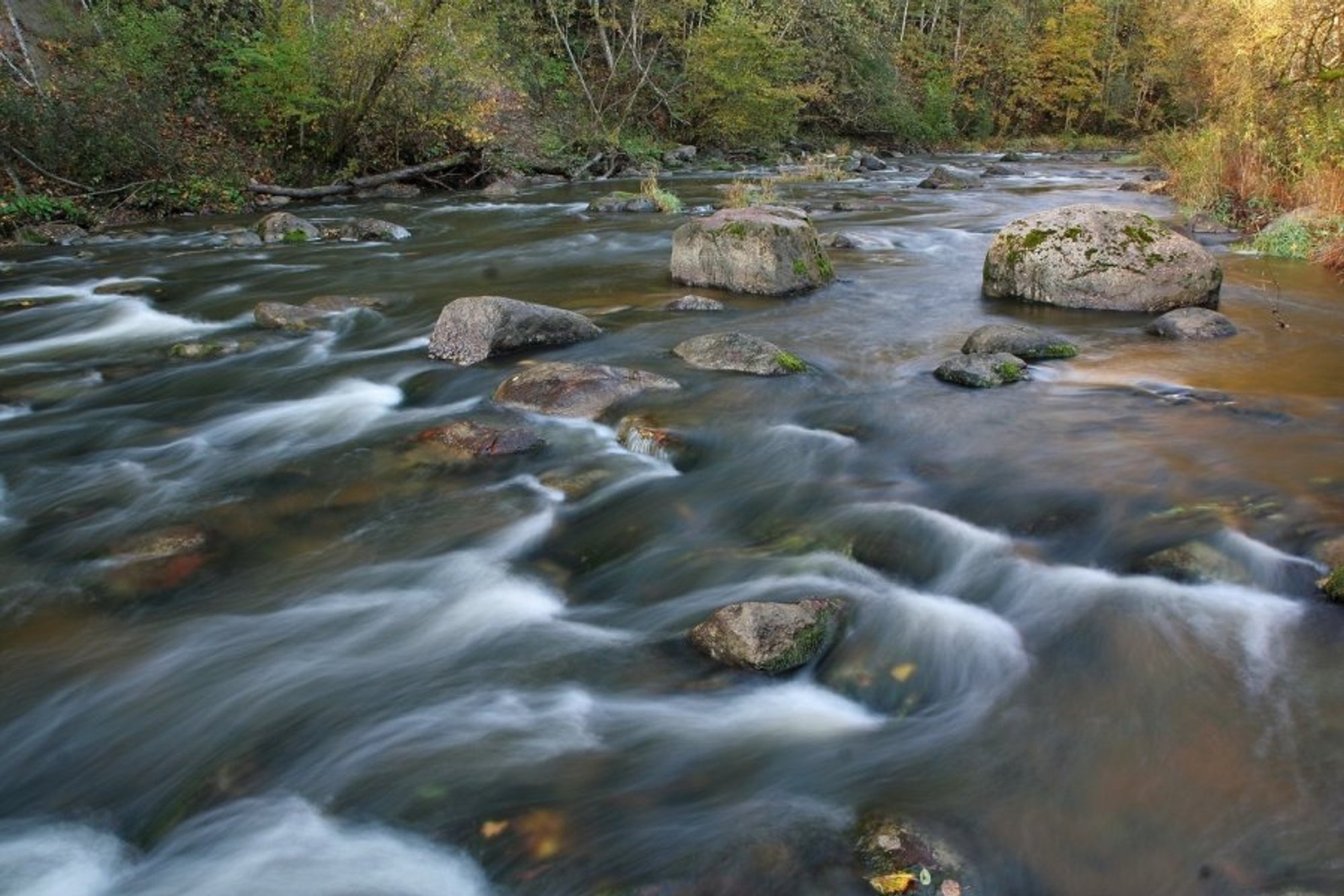 Pagramančio regioninis parkas. Akmenos „Didžioji rėva“ - Delfi grynas
