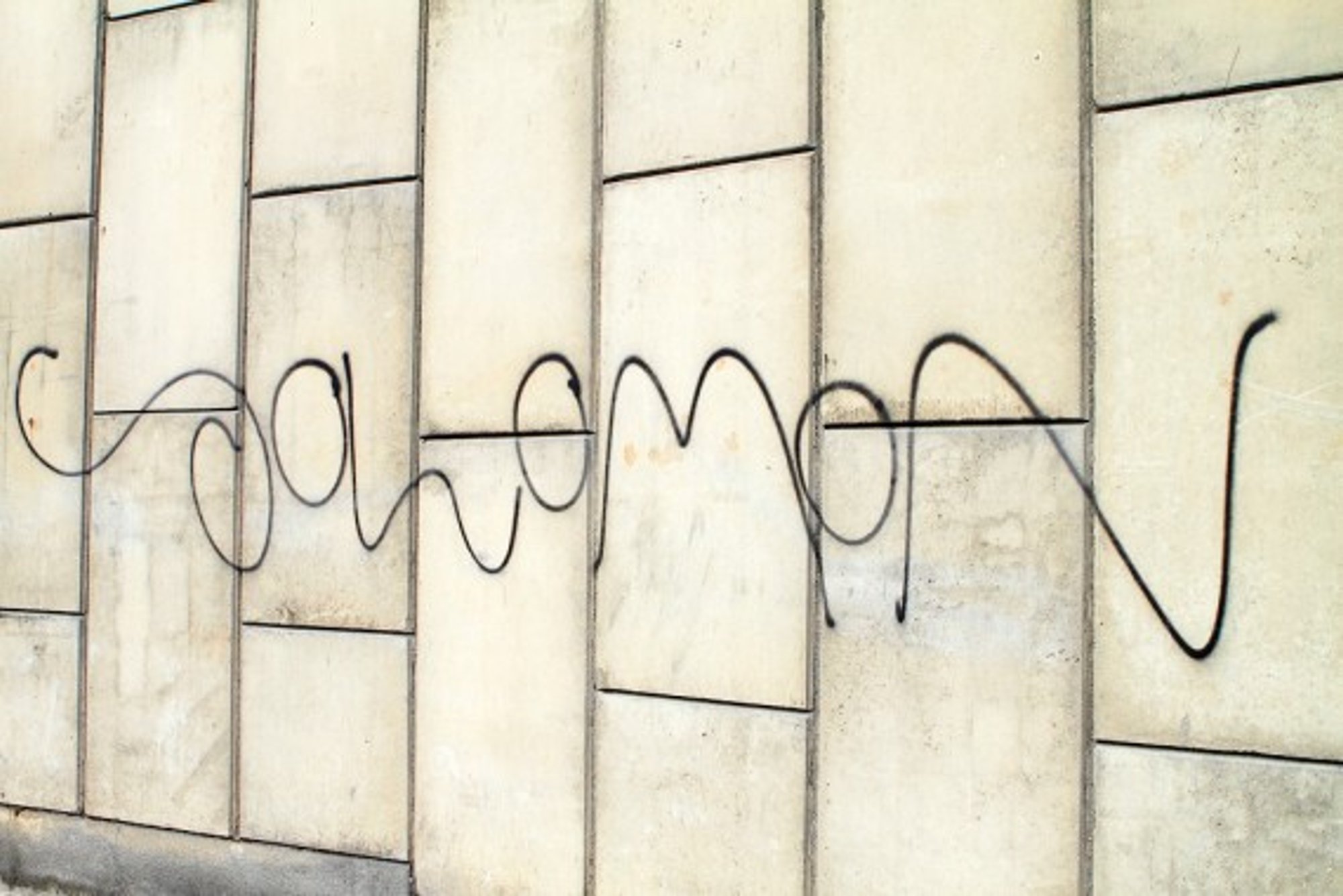 Už Solomono įdavimą jau siūloma daugiau nei 1000 litų - Delfi veidai