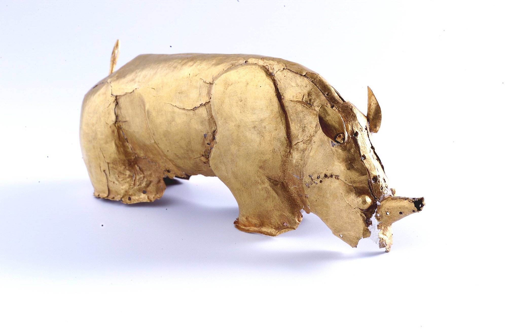 Afrikos meno kūriniai: auksinis Zimbabvės raganosis - Delfi kelionės