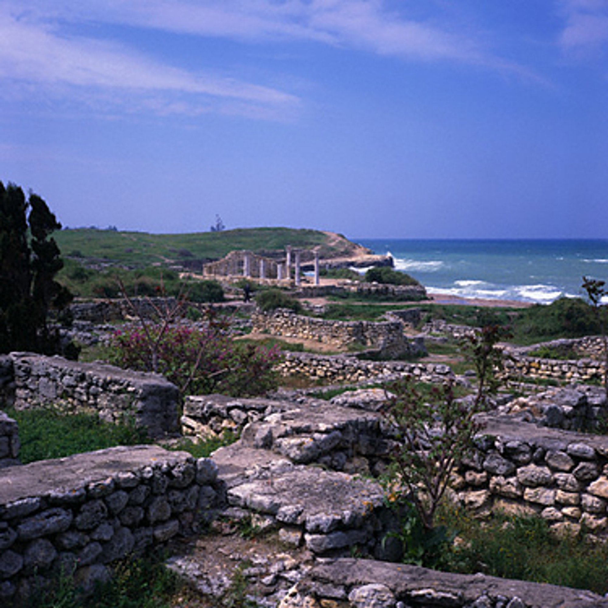 Kitokios atostogos Kryme - Delfi veidai