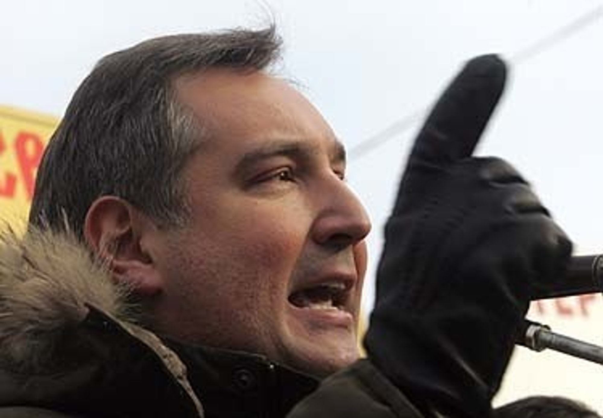 D.Rogozinas pavadino Lietuvą „nusususia avimi“ NATO - Delfi