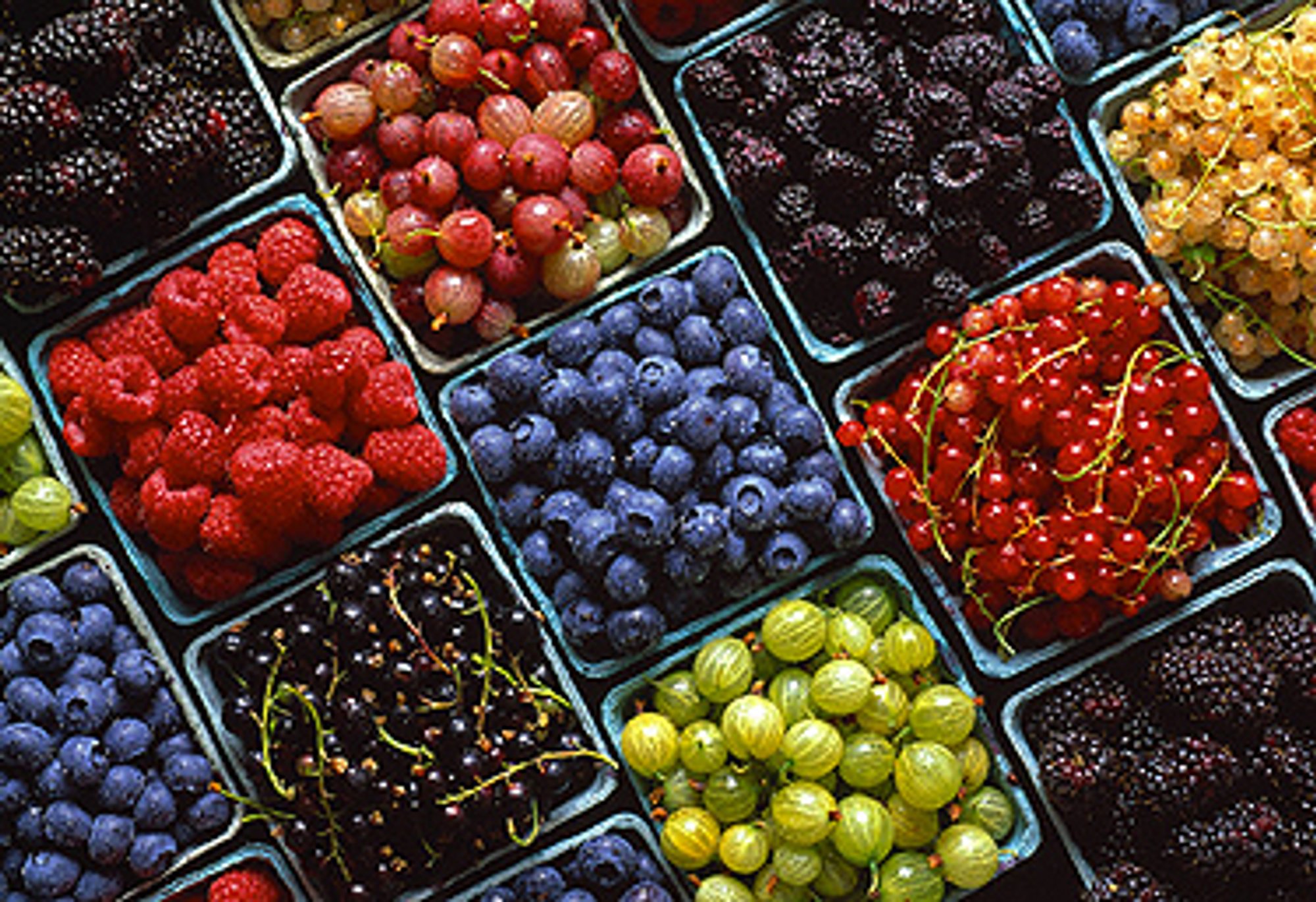 Vanilinis kremas su šviežiomis uogomis - Delfi gyvenimas