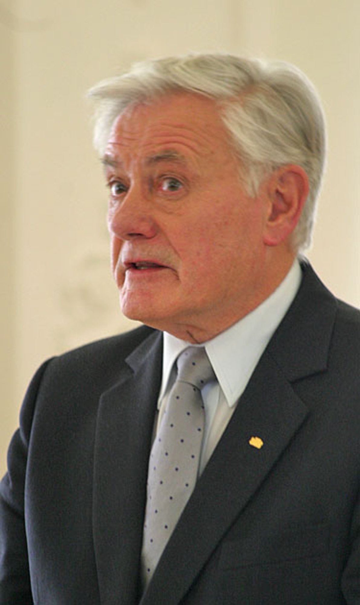 V.Adamkus: spekuliacijos dėl AE gadina Lietuvos reputaciją - Delfi verslas