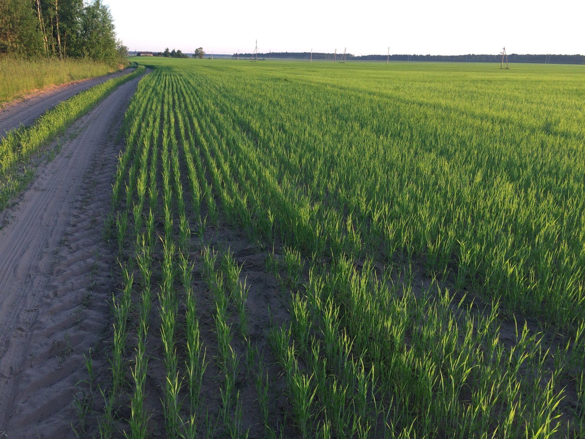 Lithuanian agriculture company to embrace organic farming - Delfi EN