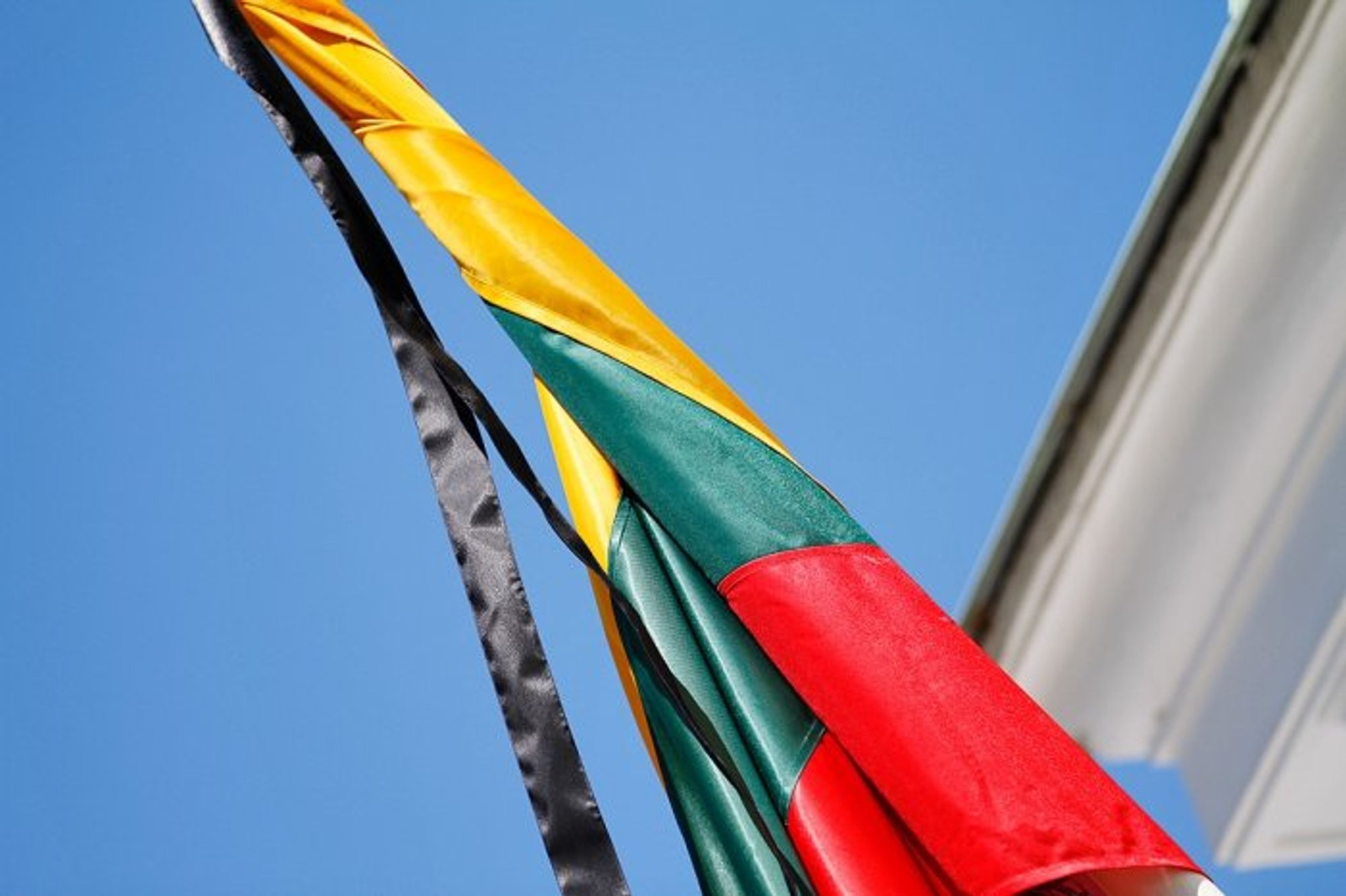 Lietuvoje dėl įvykių Ukrainoje skelbiamas gedulas - Delfi