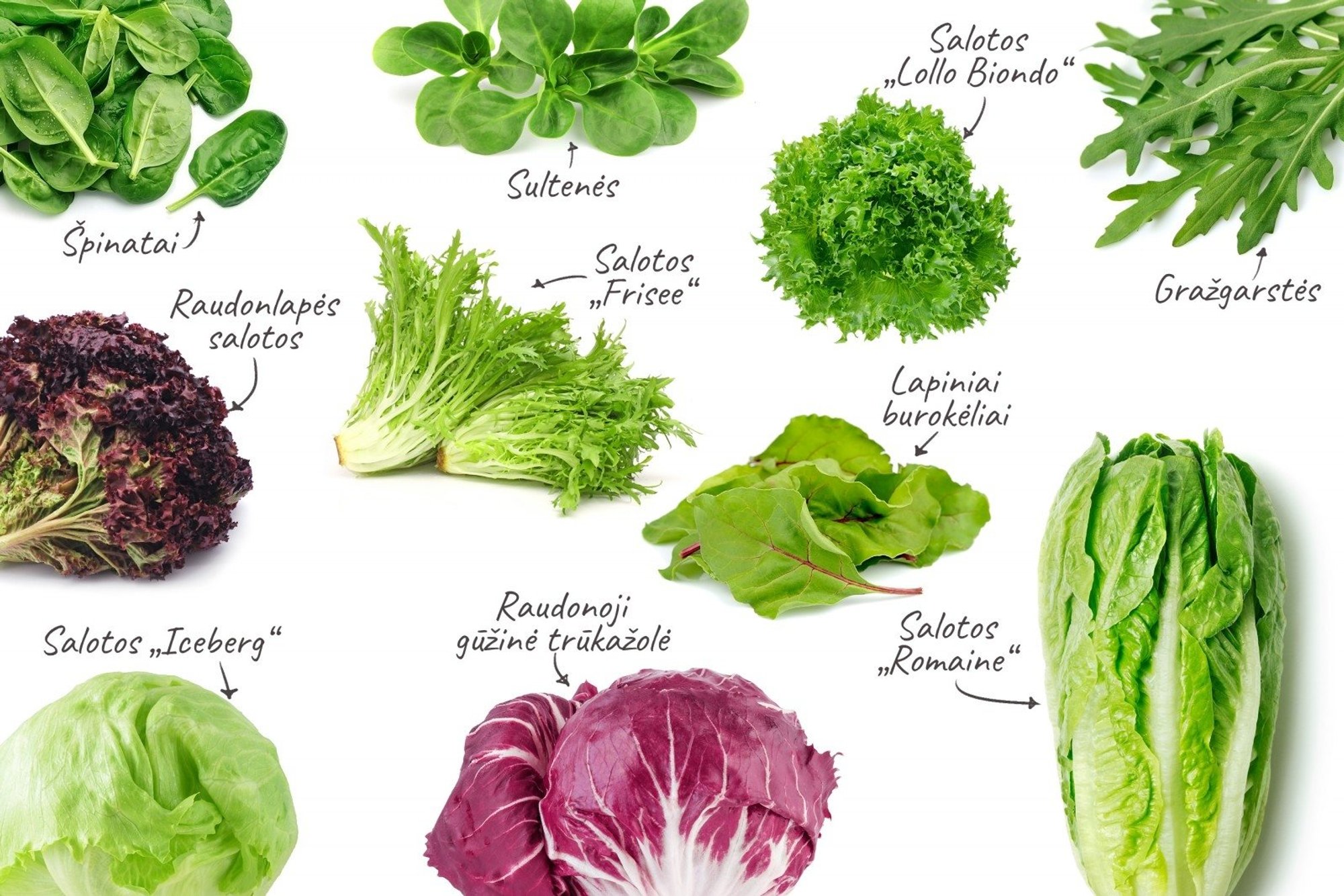 Salotų ABC: visos sveikos, bet turite žinoti, kaip paruošti - Delfi maistas