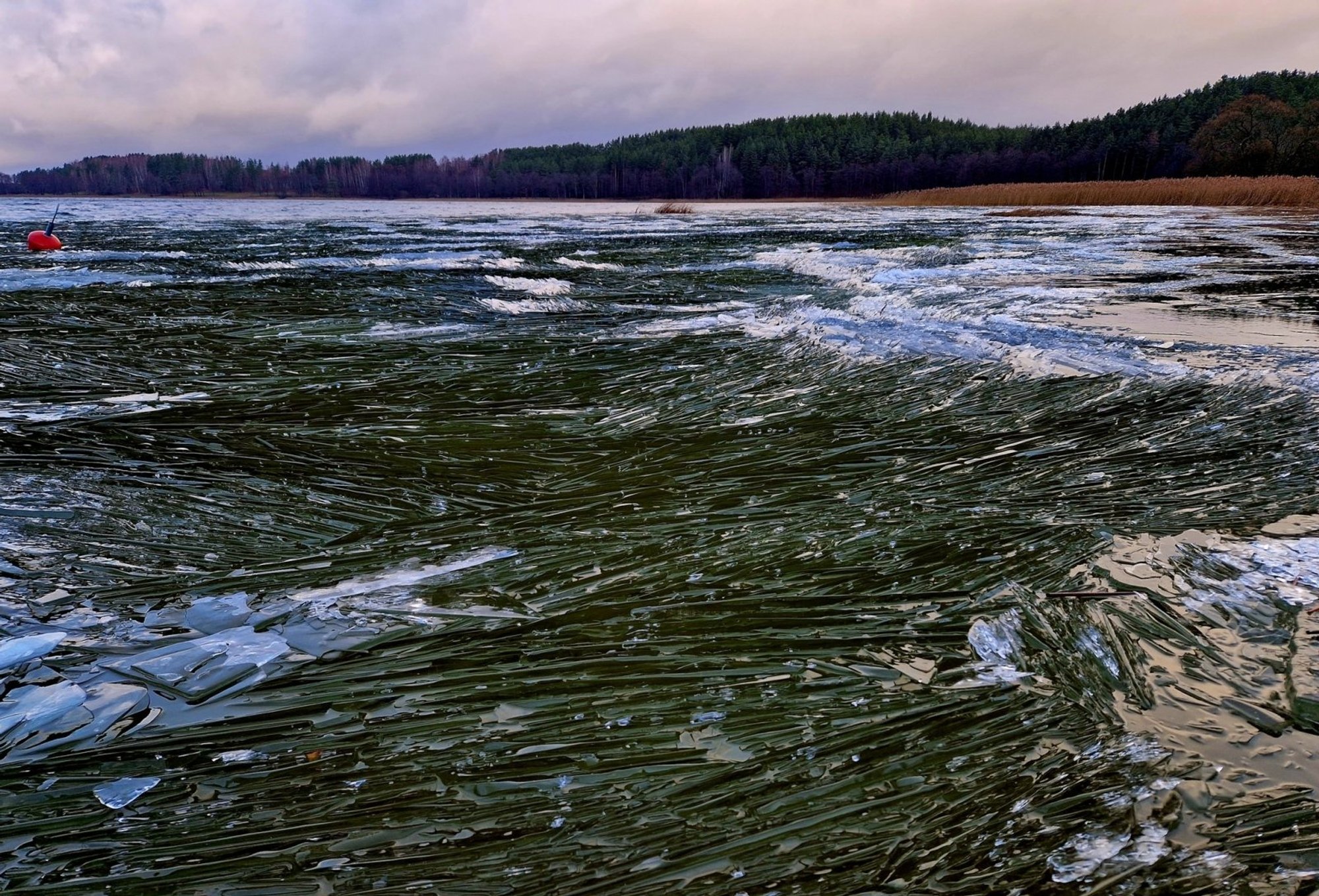 Vienas įdomiausių šalies ežerų sukūrė nepakartojamą reginį: vaizdas ir ...