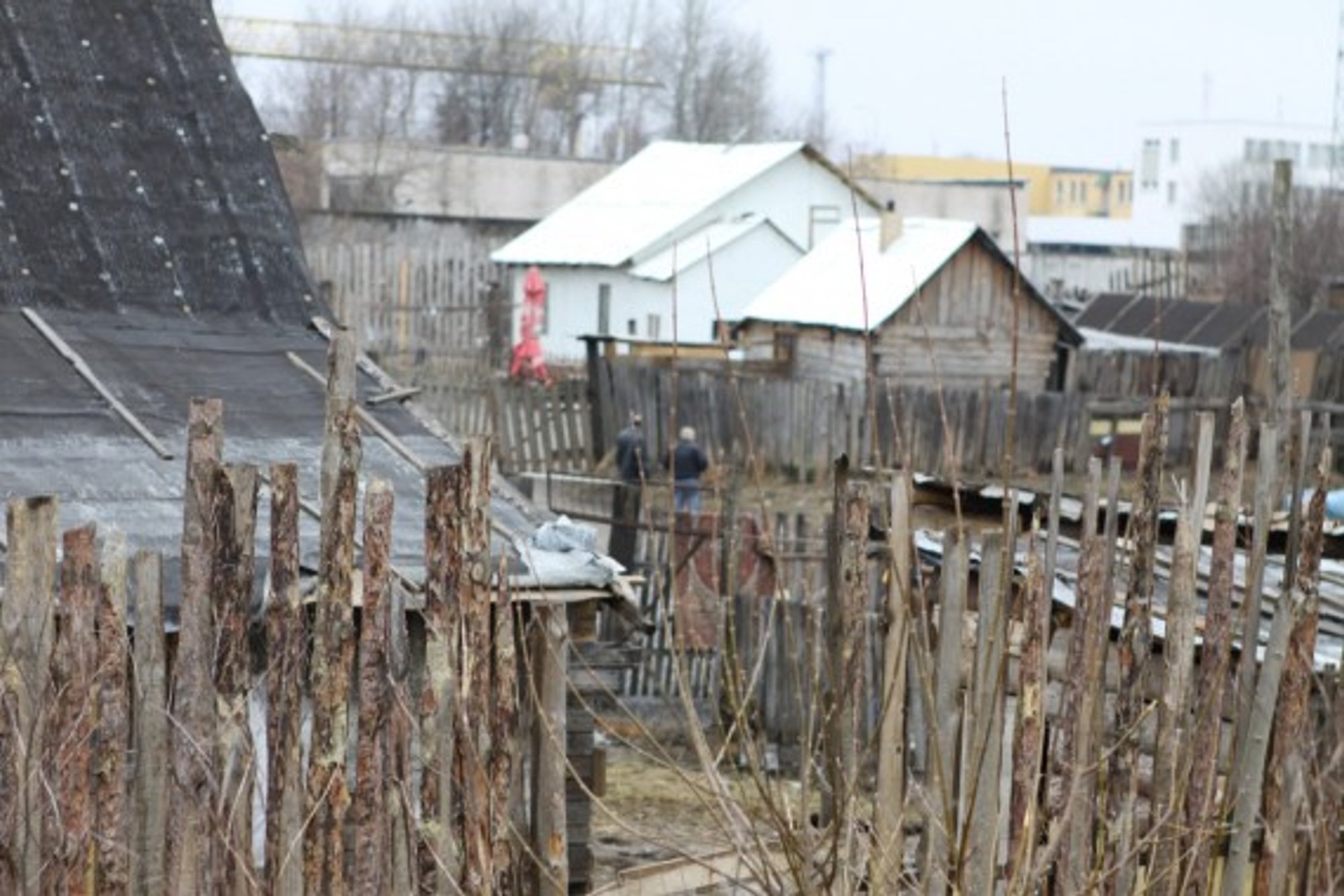 R.Bogdanas. Čigonas irgi privalo būti pilietis - Delfi