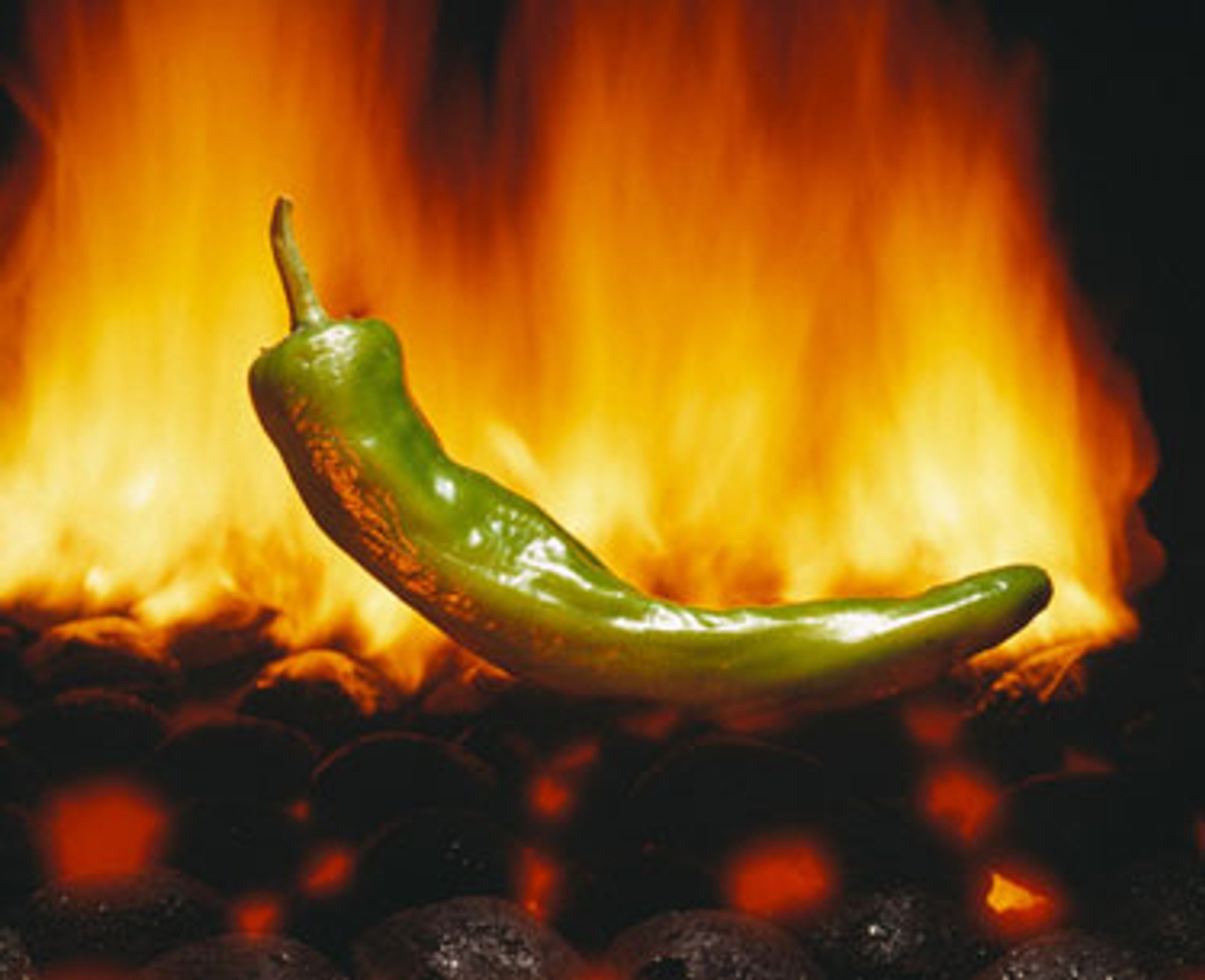 Čili pipirai - Delfi gyvenimas