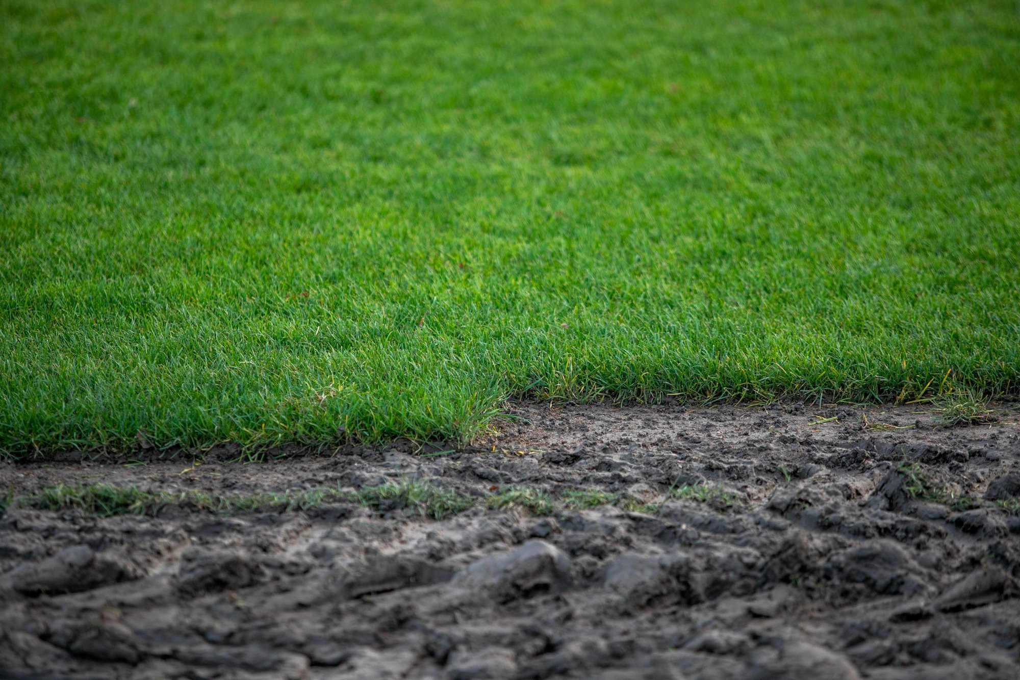 Ūkininkus dar iki metų pabaigos pasieks svarbi išmoka - Delfi agro