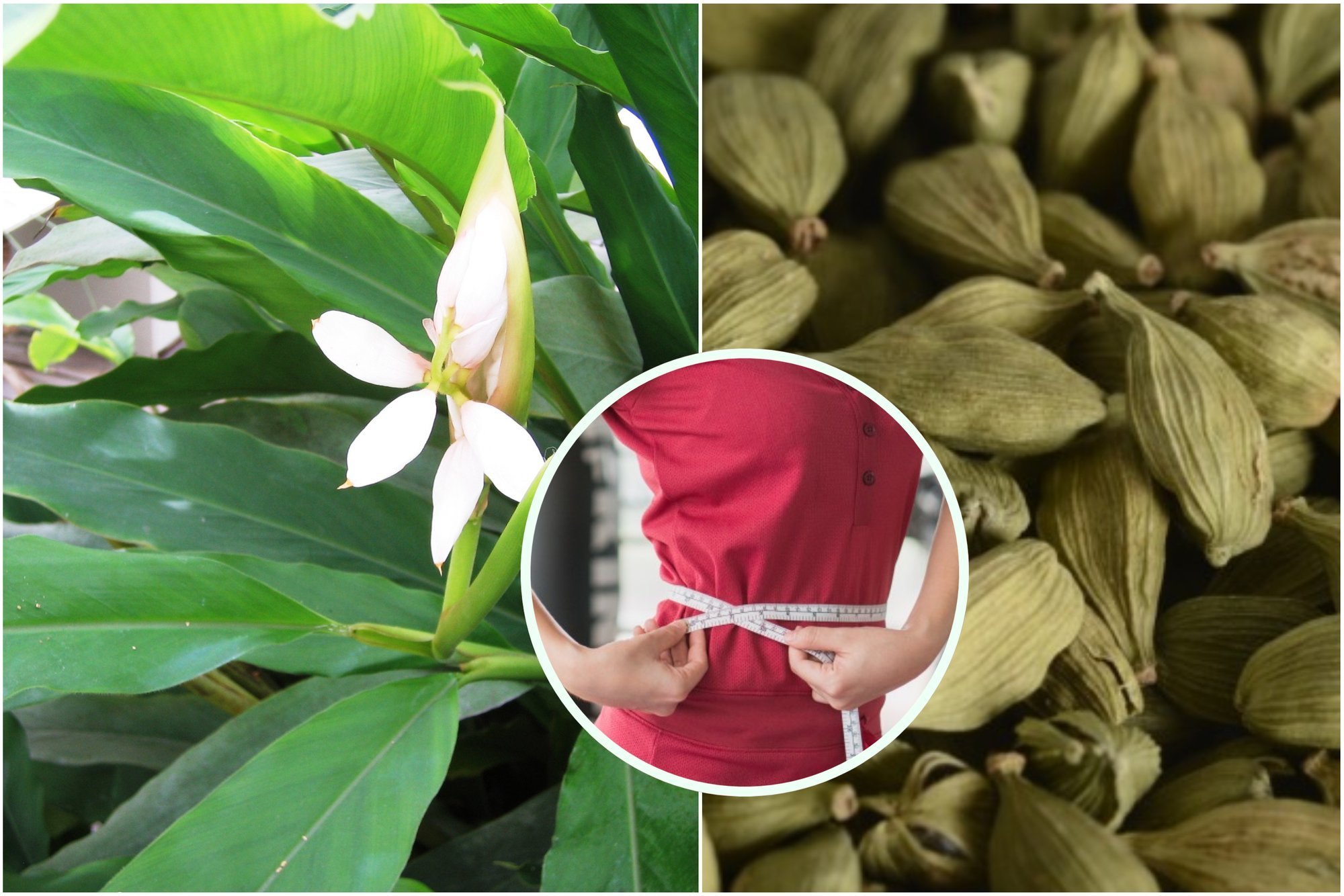 Mokslininkai įvardijo prieskonį, kuris padės deginti riebalus ir ...