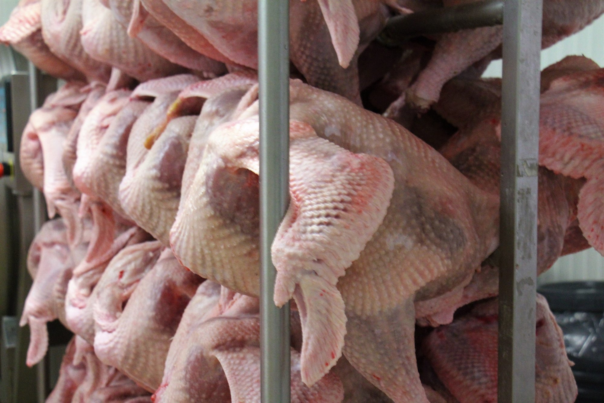 Litagra is entering turkey farming business - Delfi EN