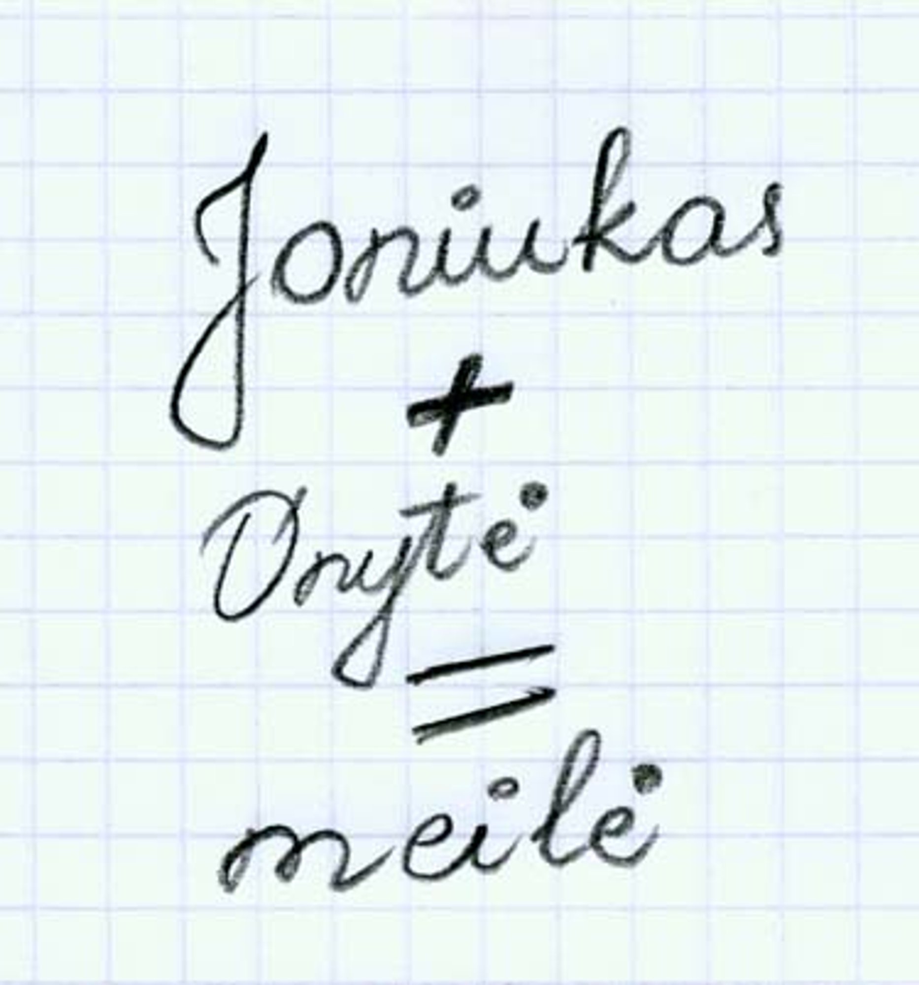 Ar santuoka bus laiminga, parodo ...algebra - Delfi gyvenimas