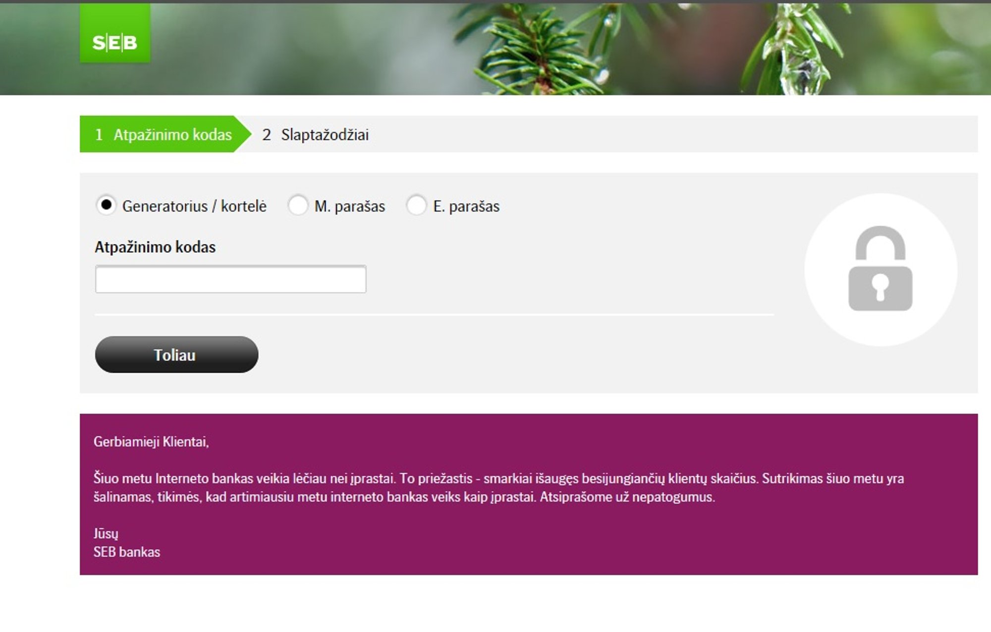 Stringa SEB internetinė bankininkystė - Delfi verslas