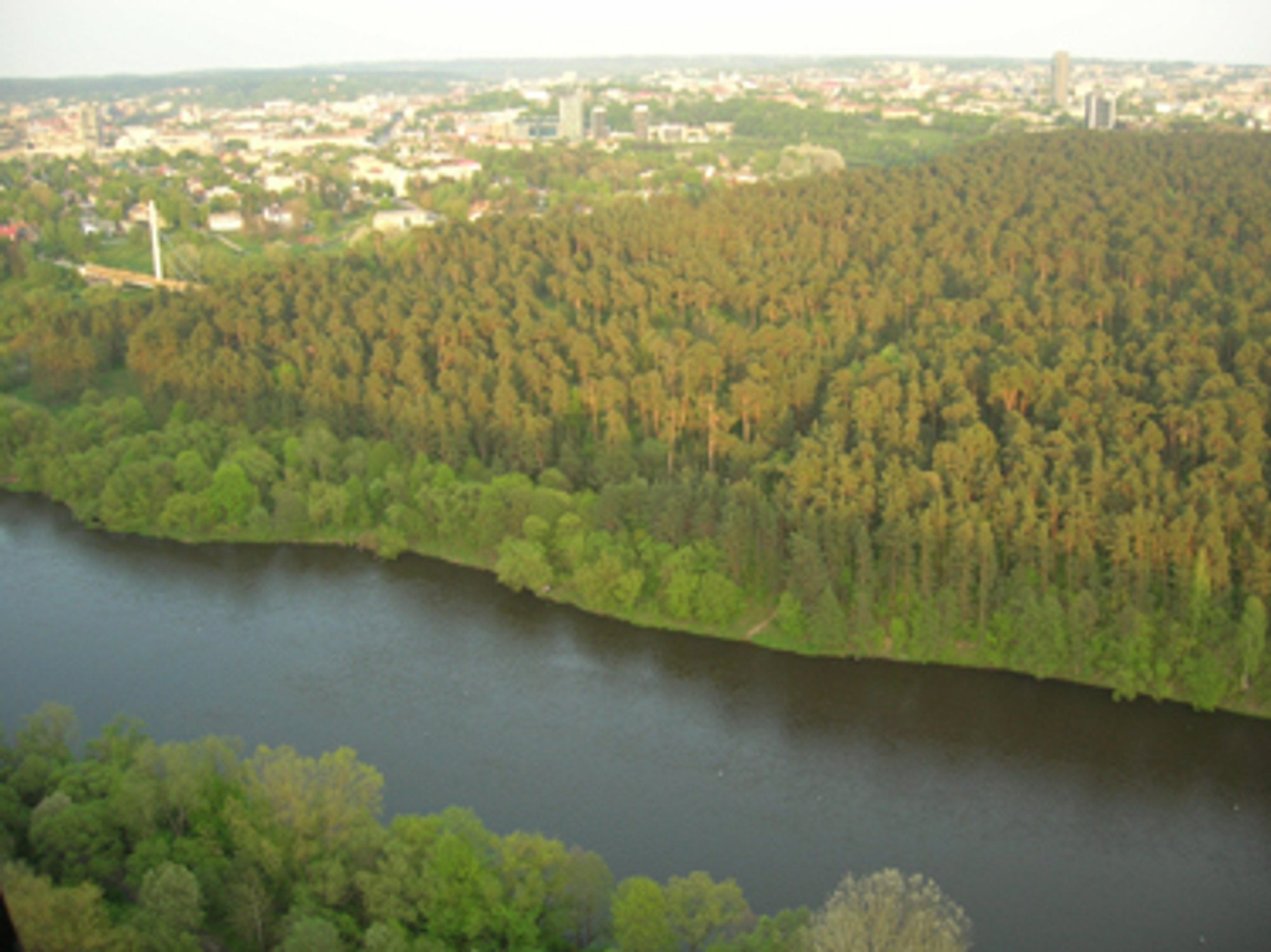 Amazonė gali būti ilgesnė už Nilą - Delfi mokslas