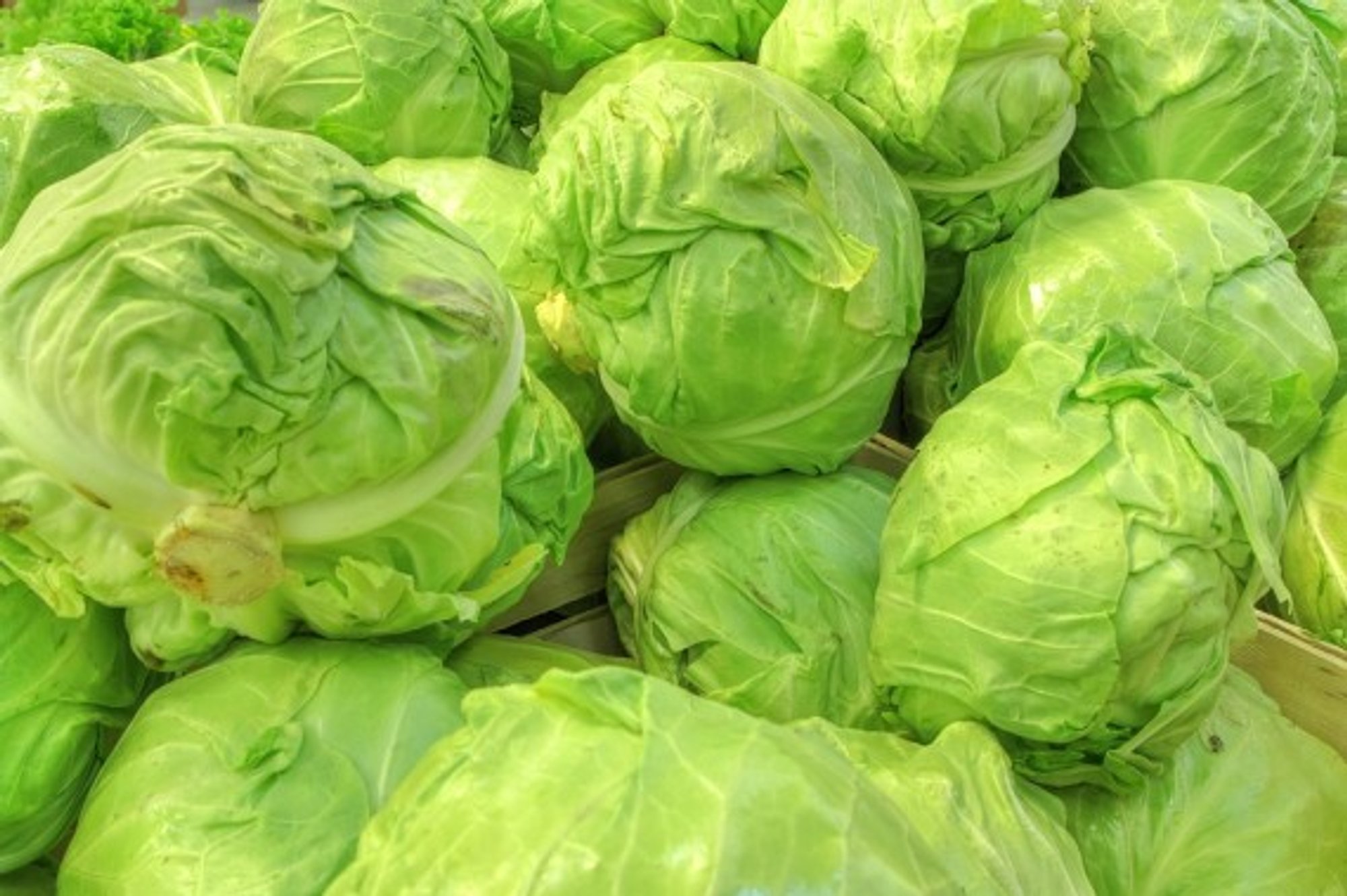 Jūsų daktaras kopūstas - Delfi gyvenimas