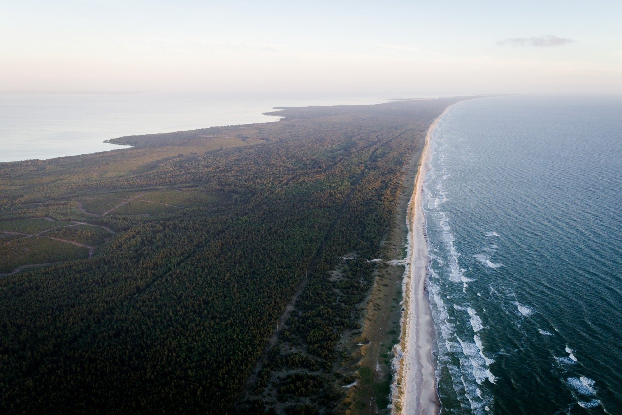 Baltija ardo apsauginį Palangos kopagūbrį - Delfi