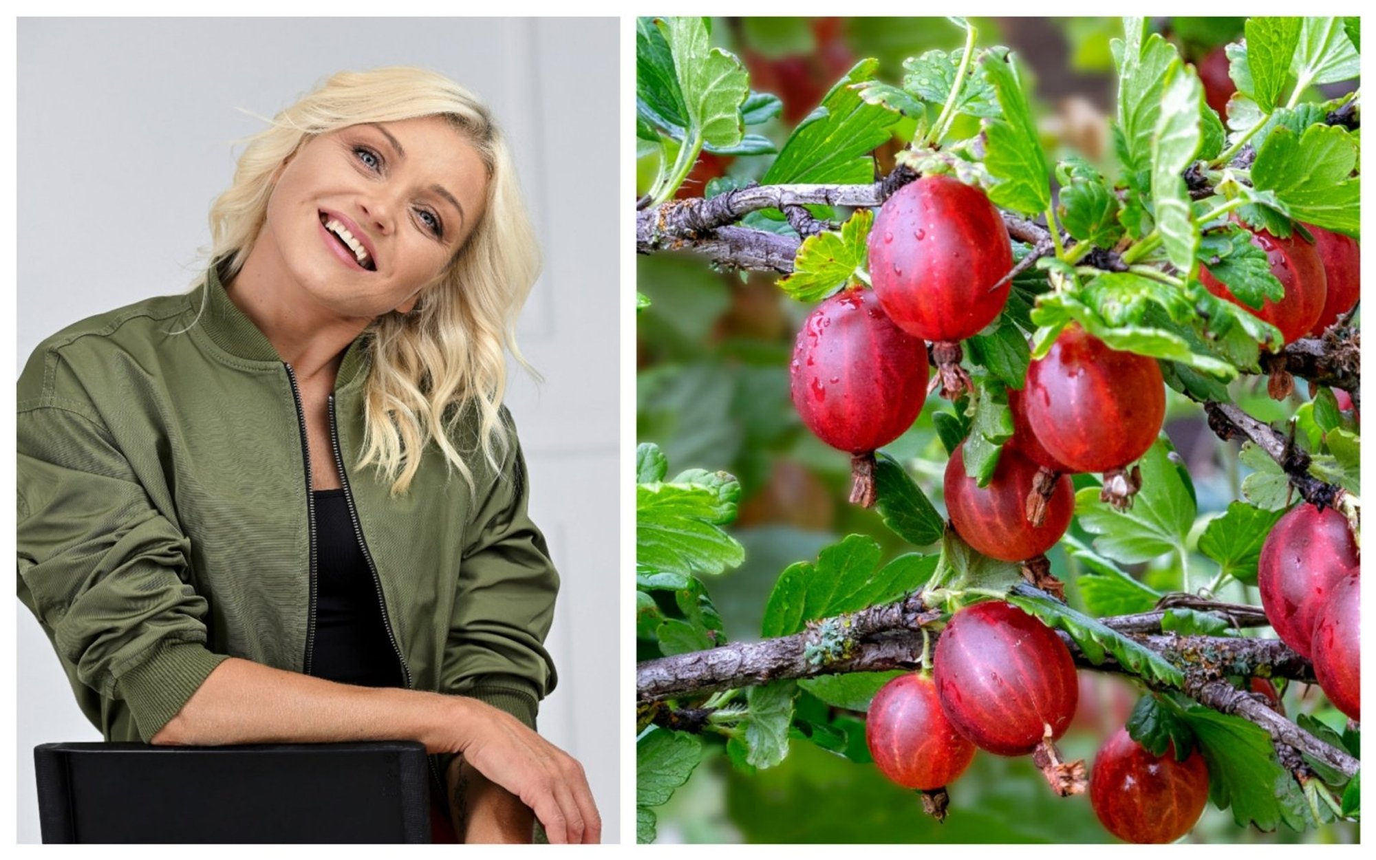 Agrastai itin naudingi sveikatai, tačiau svarbu žinoti, kaip juos ...