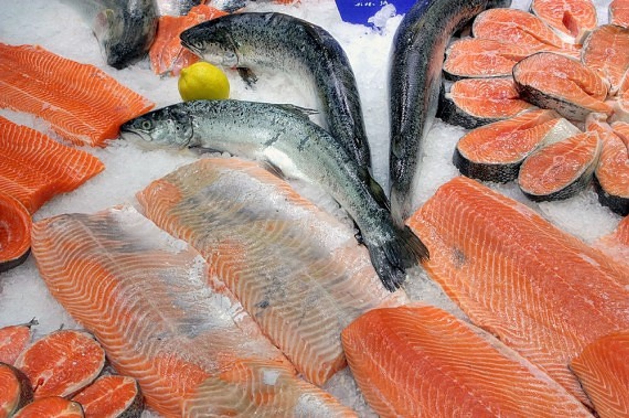 Žuvų taukai apsaugo nuo psichinių ligų - Delfi