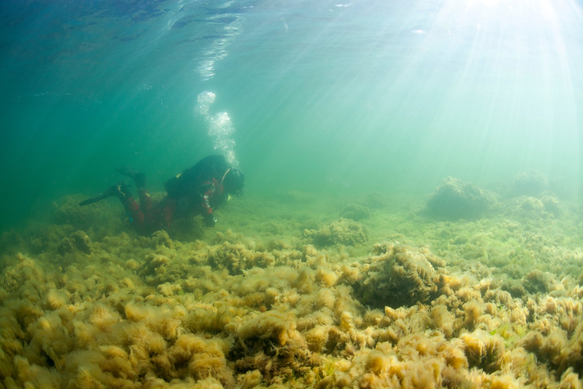 Baltijos jūros dugne – neįtikėtinas radinys: aptiktas seniausias ...