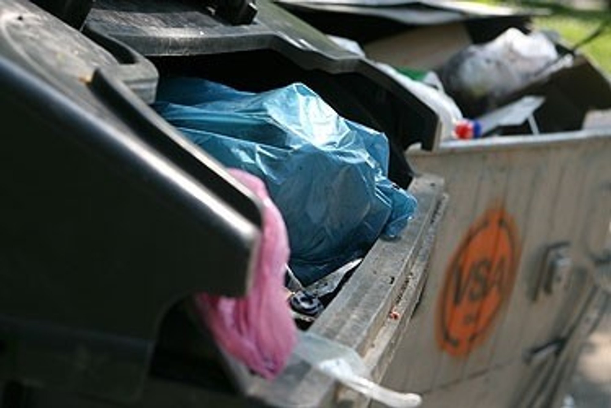 Šiukšles auklėtojos nešasi namo - Delfi