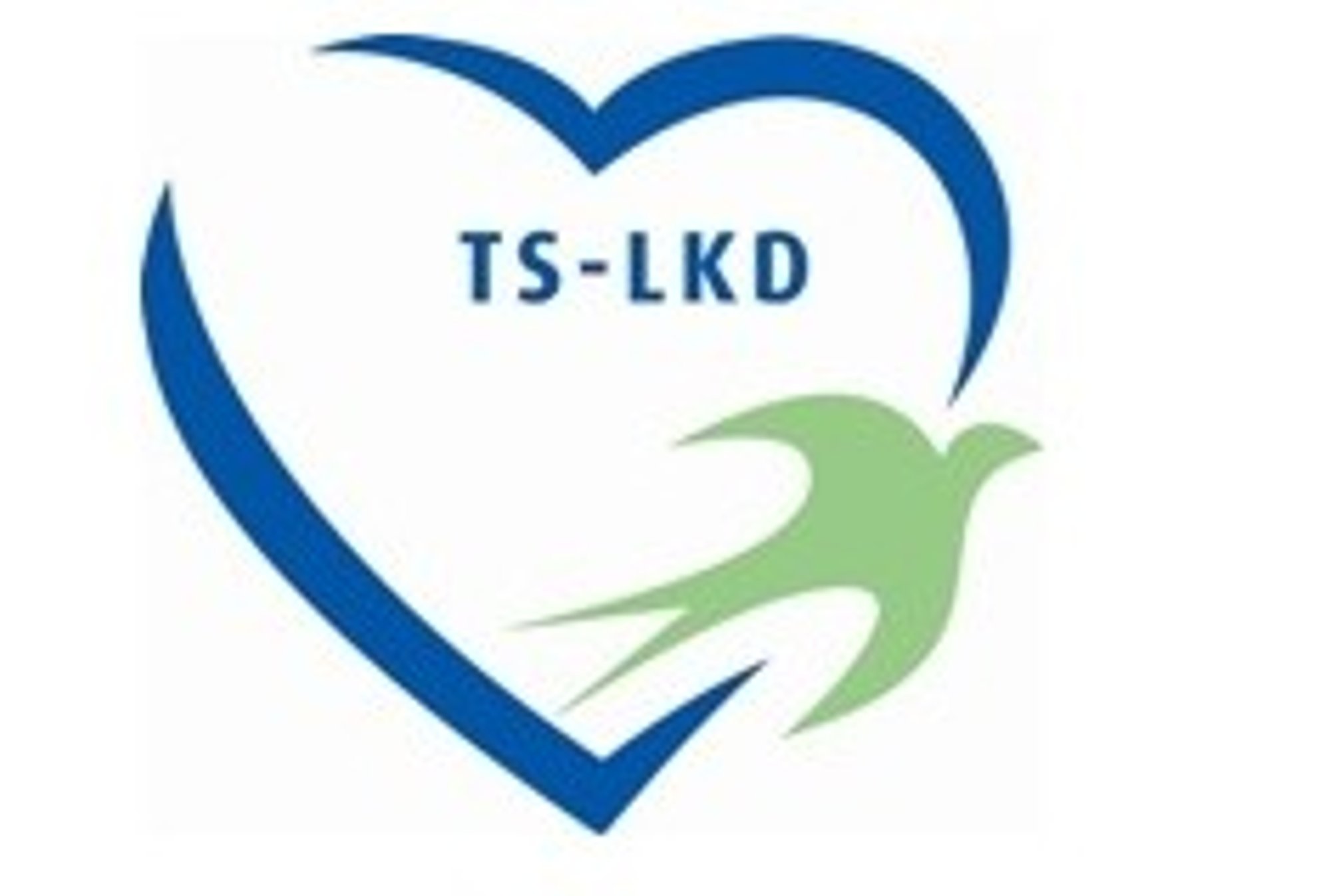 Seimo pirmininkei patarinės buvęs partijos kolega D.Stancikas - Delfi