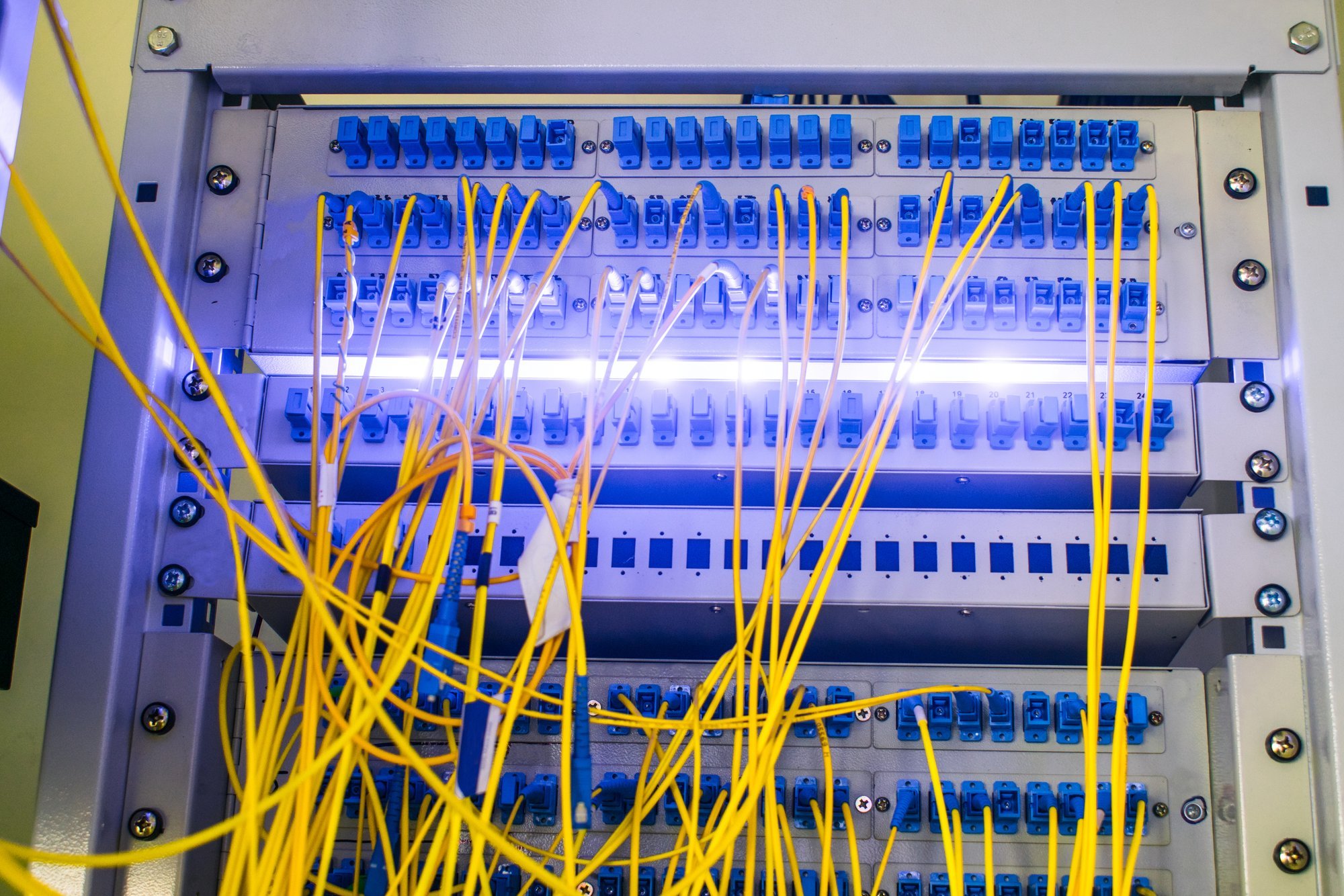 Gera žinia Lietuvai ir pasauliui – priimtas sprendimas spartinti ...