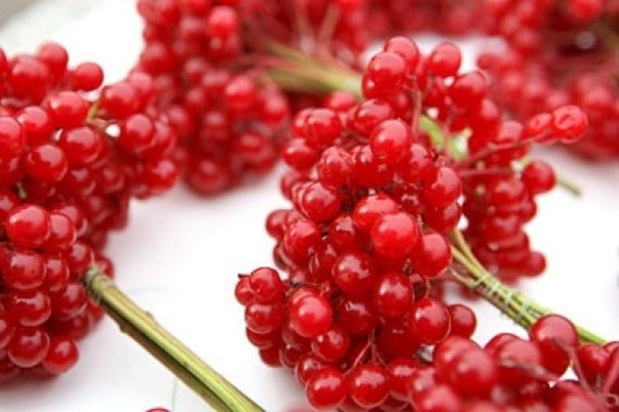 Putinai stiprina organizmą - Delfi gyvenimas