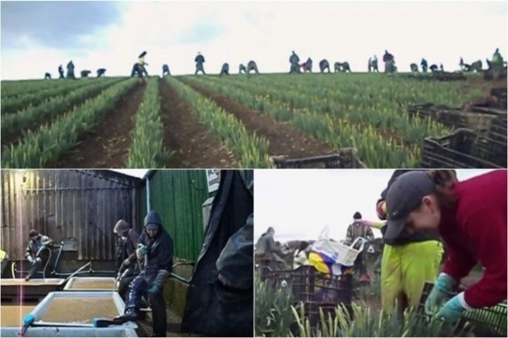 Daugiau nei trečdalis lietuvių norėtų išvykti: dažniausiai mini dvi ...