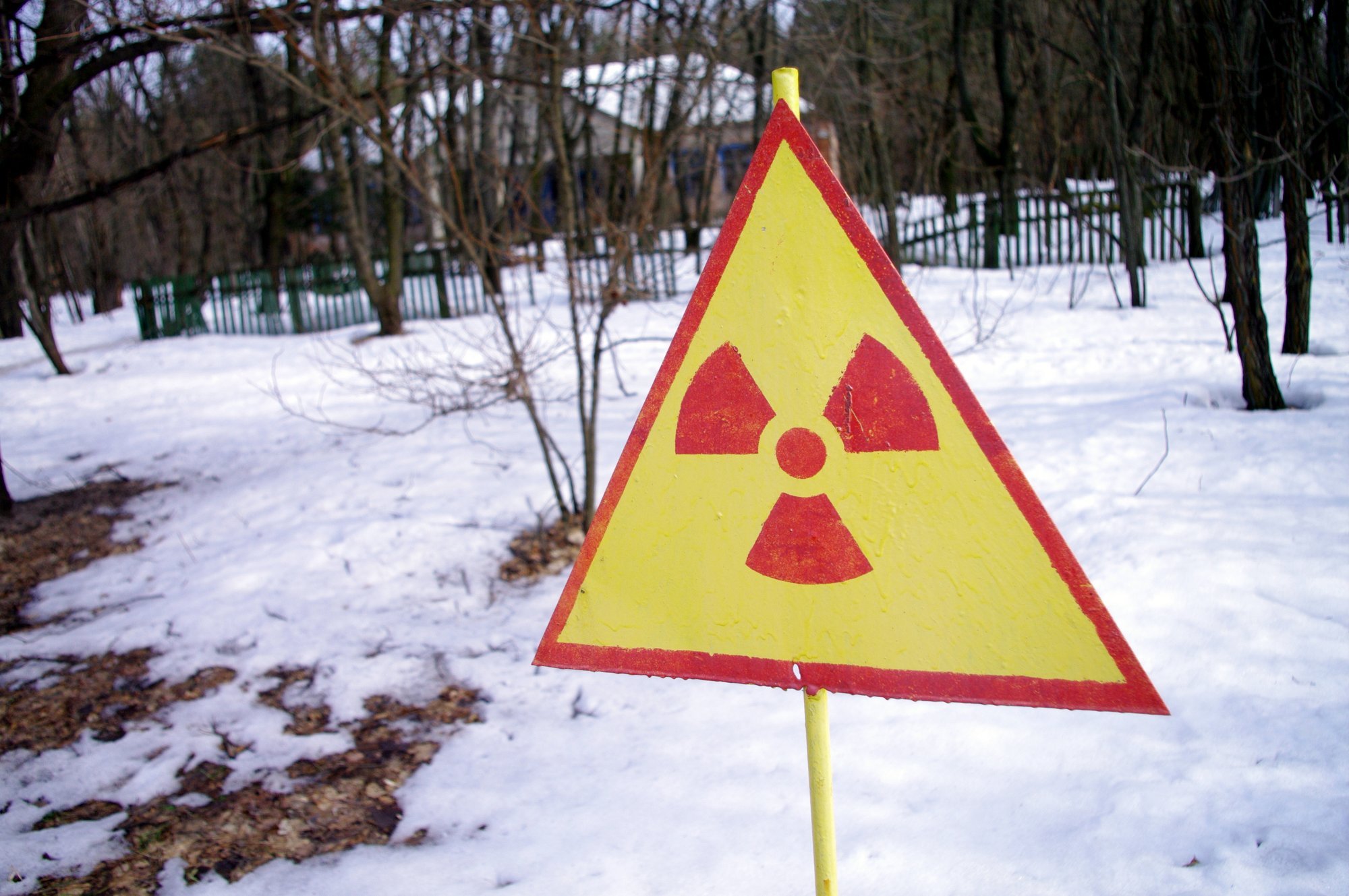 30 metų po avarijos Černobylio pienas vis dar radioaktyvus - Delfi ...
