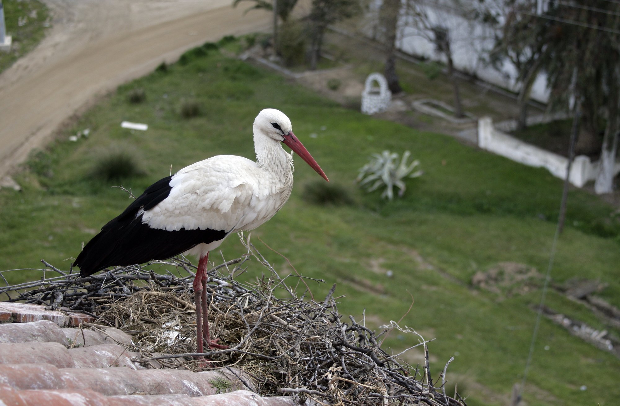 Nepelnytai apšauktas rajūnu - Delfi užsakomasis turinys