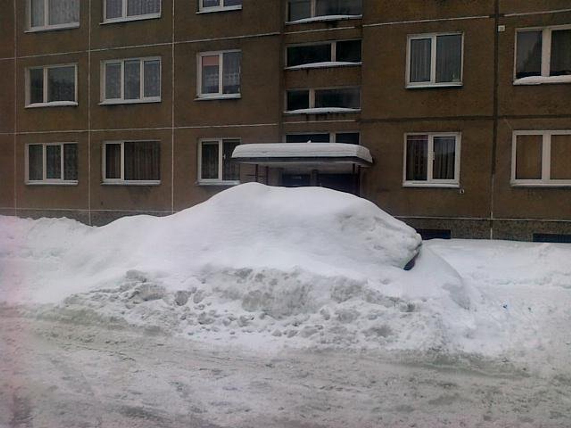 Didžiausios pusnys išlieka Žemaitijoje - Delfi