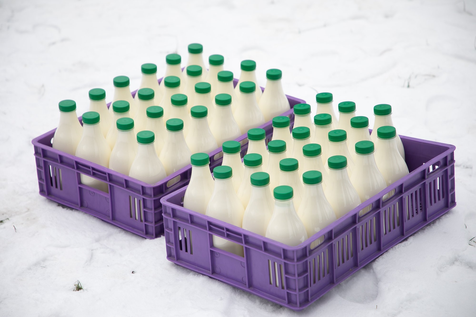 Pienas LT cooperative to raise farm-gate milk prices - Delfi EN