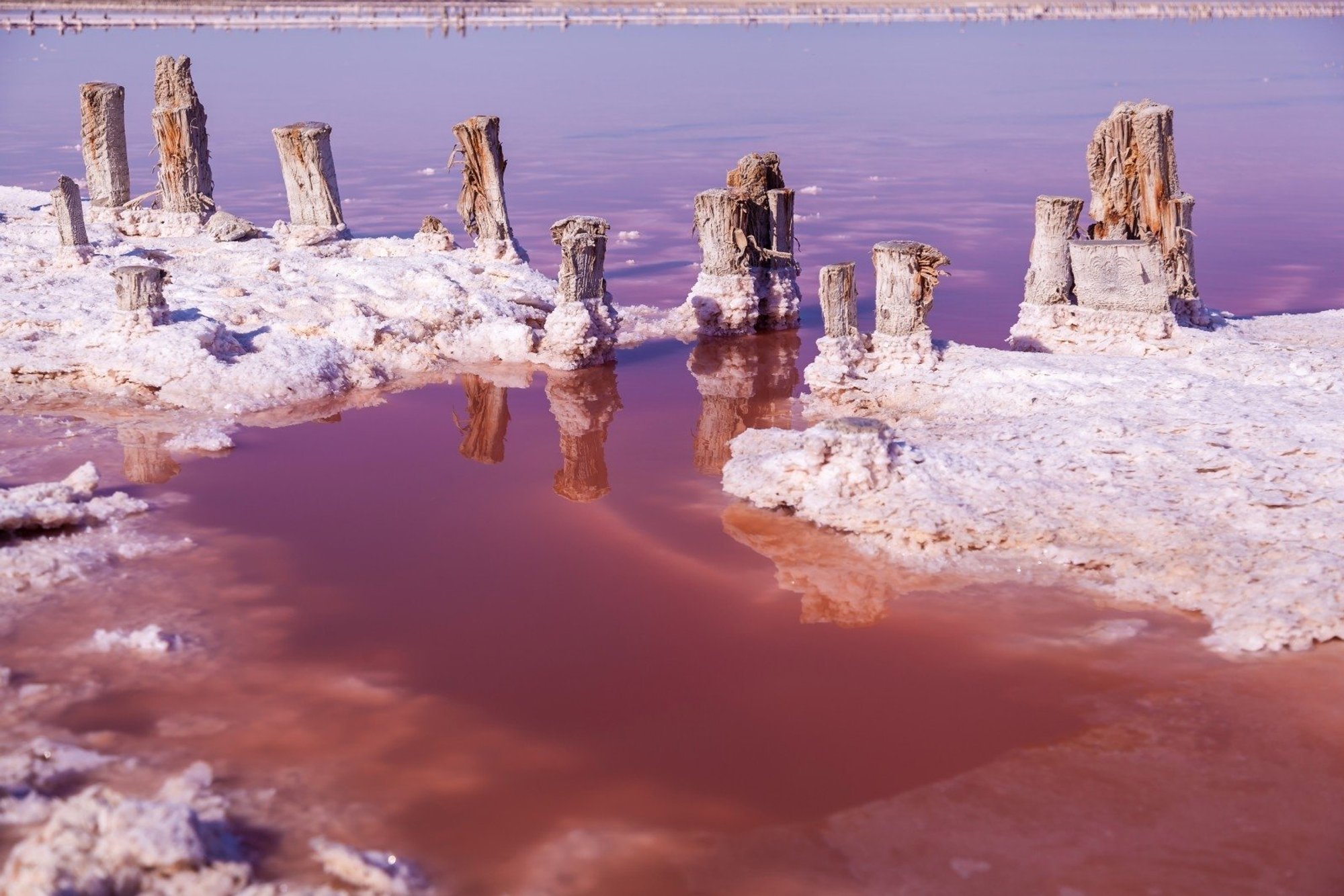 Rožinis ežeras Ukrainoje kasmet pritraukia tūkstančius lankytojų ...