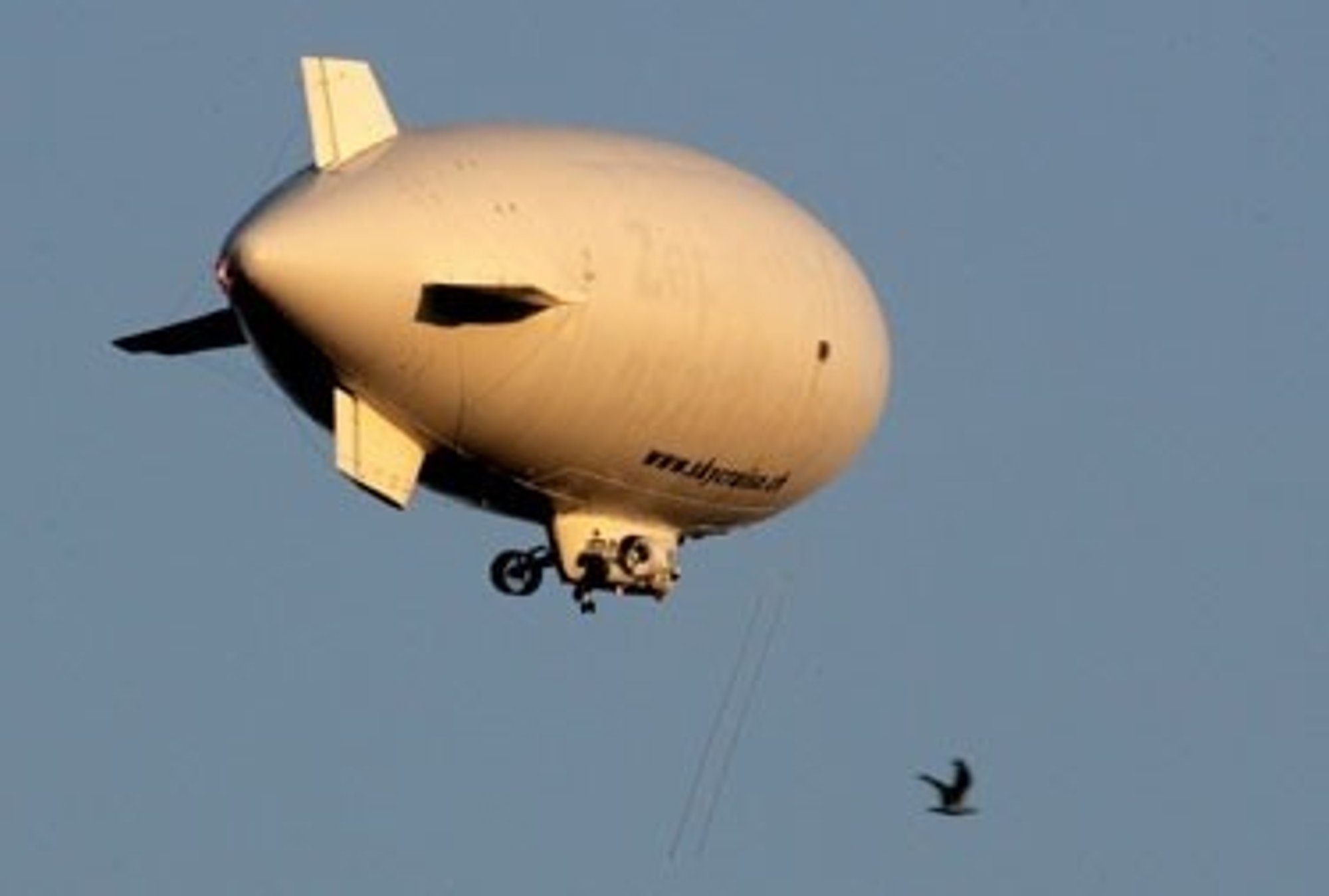 Dirižablio tėvynėje lietuvis pilotas tapo pasaulio vicečempionu - Delfi ...