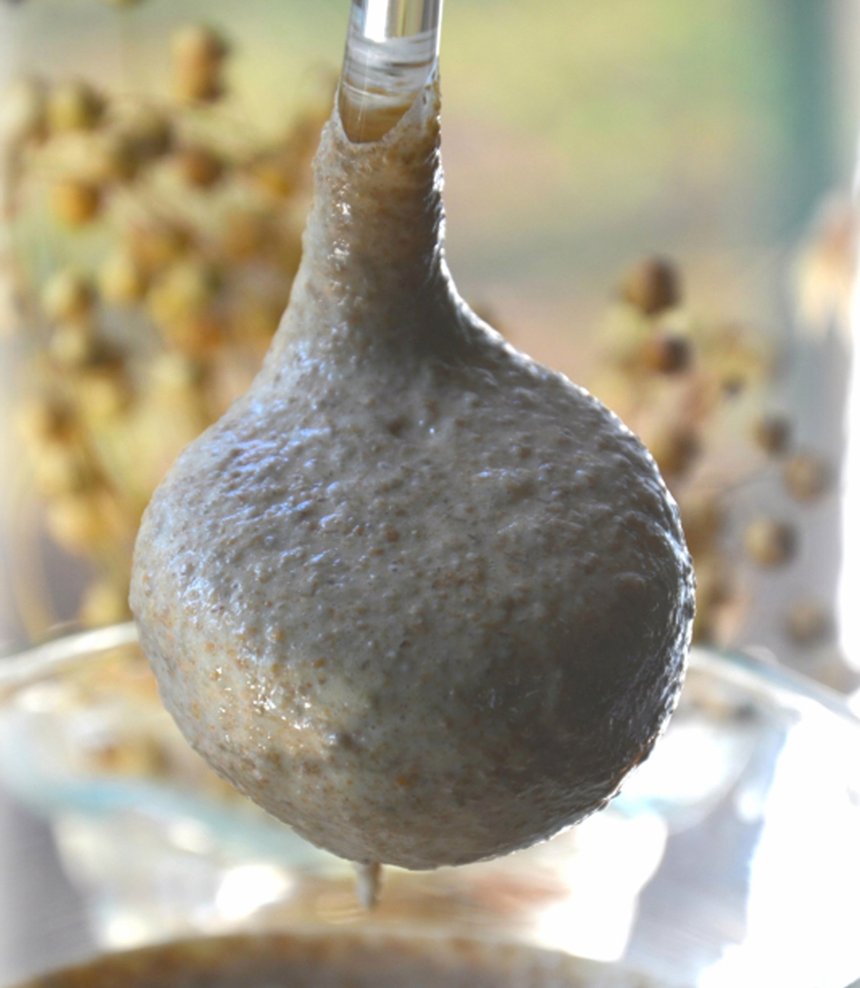 Raugas naminei juodai duonai - Delfi gyvenimas