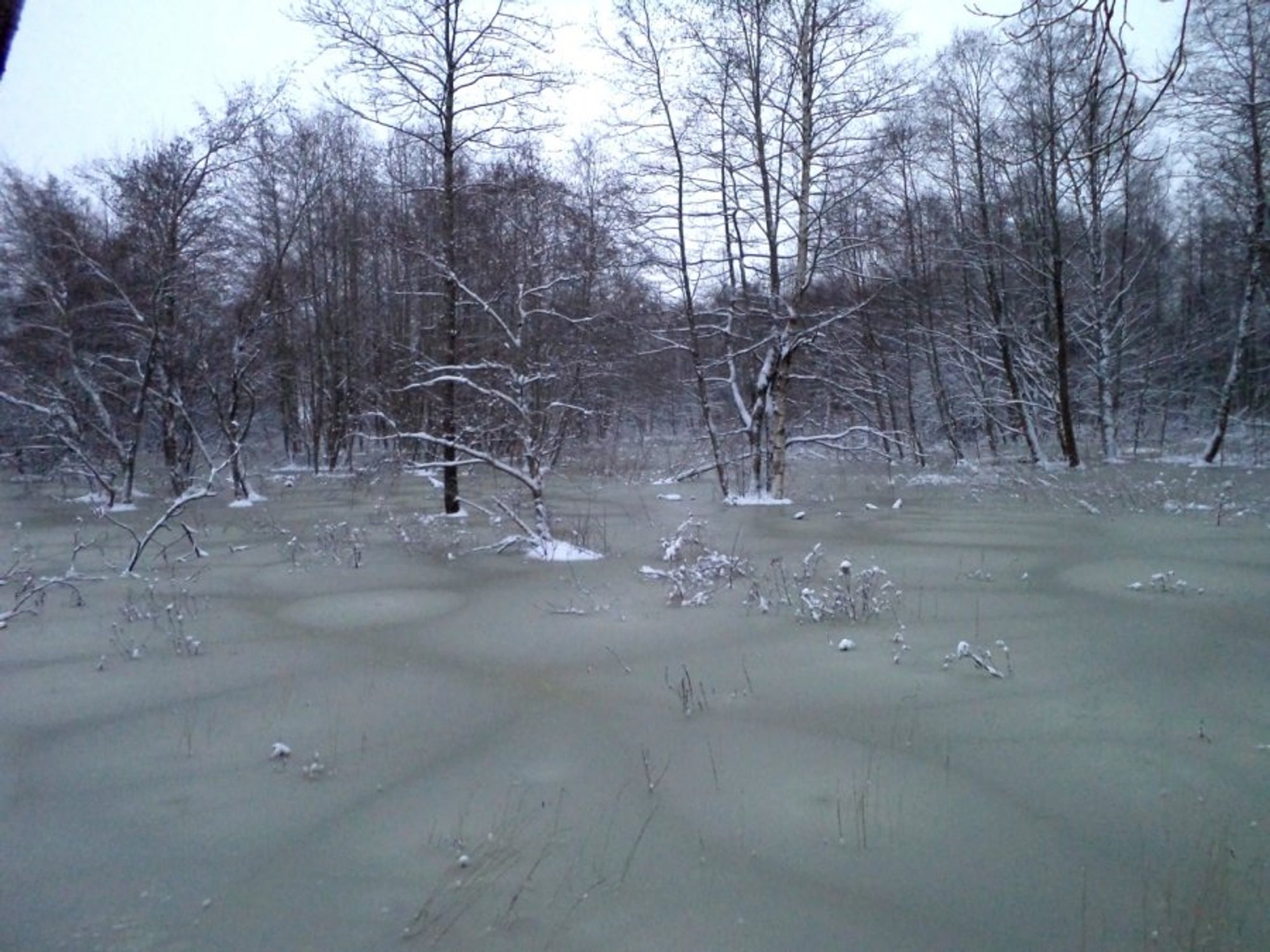 Potvynio apsemtas pamarys tapo didžiausia Lietuvos čiuožykla - Delfi grynas