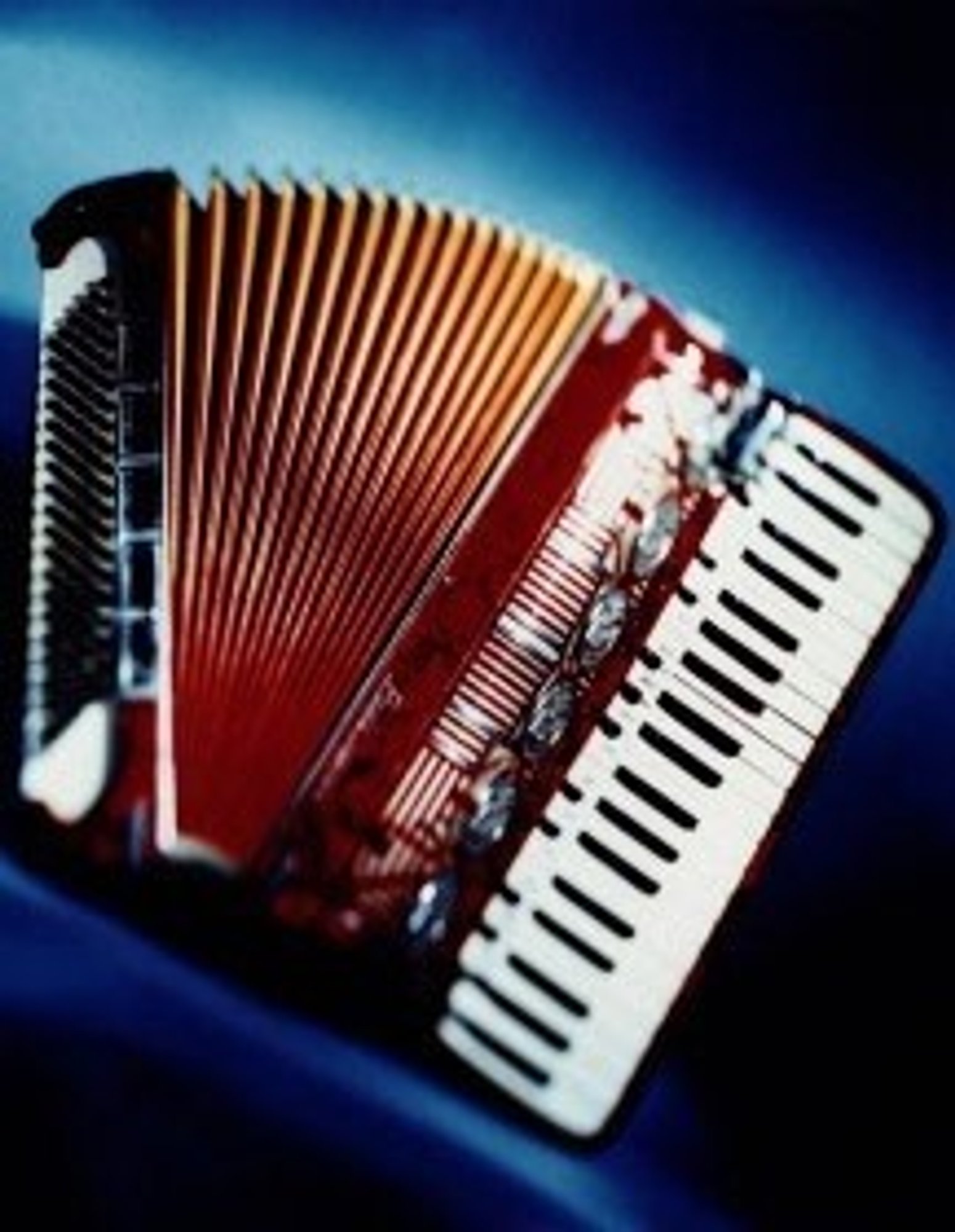 Akordeonas Kaune suskambės stipriai kitaip - Delfi veidai