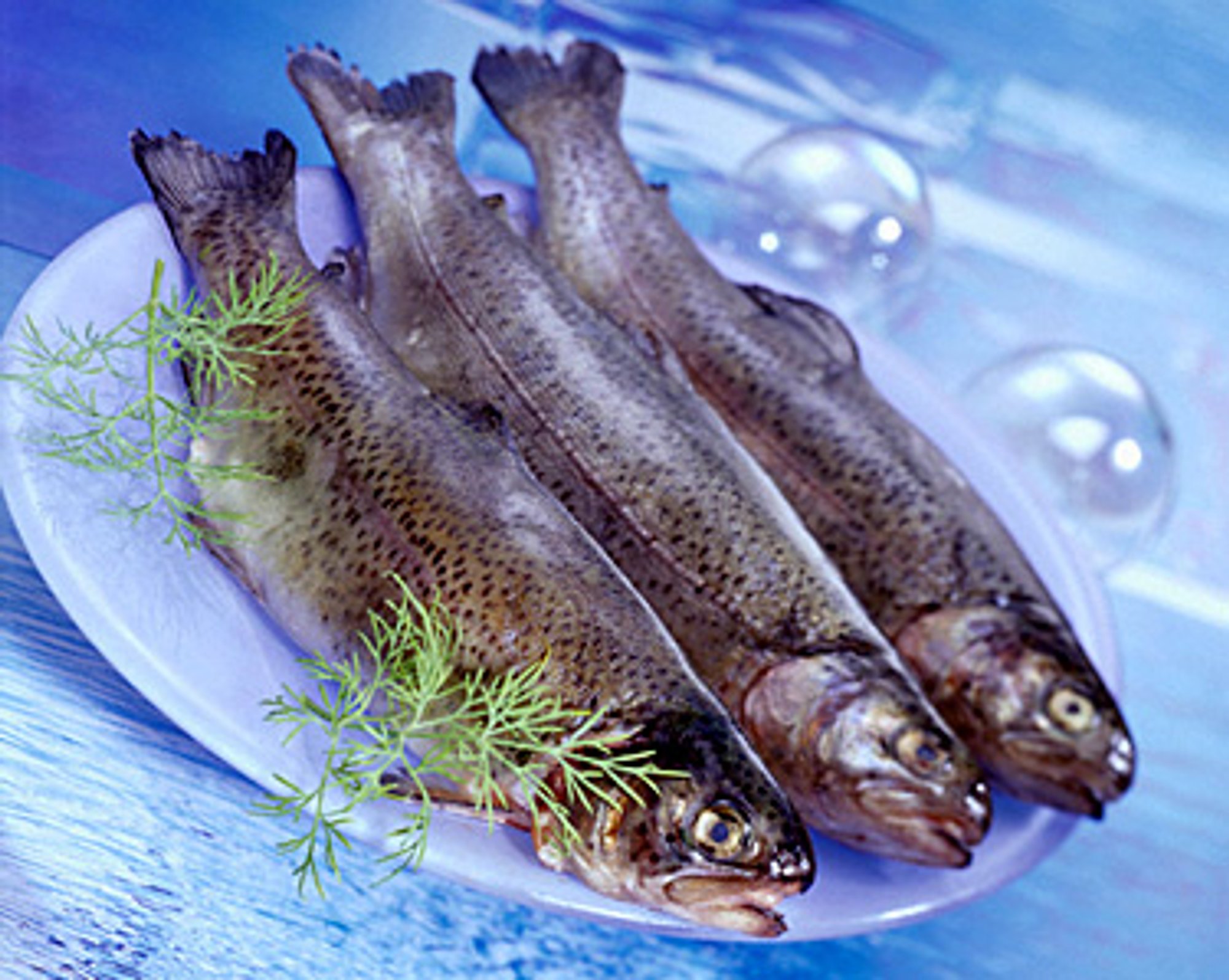 Upėtakis sūrio padaže - Delfi gyvenimas