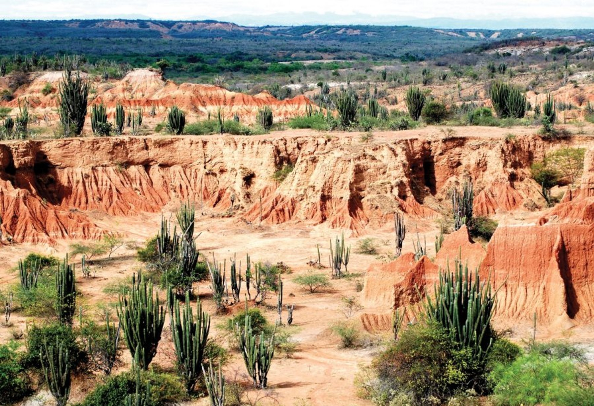 Ž.Lukšytė: Pietų Amerika. Metai su kuprine Naujojo pasaulio keliais ...