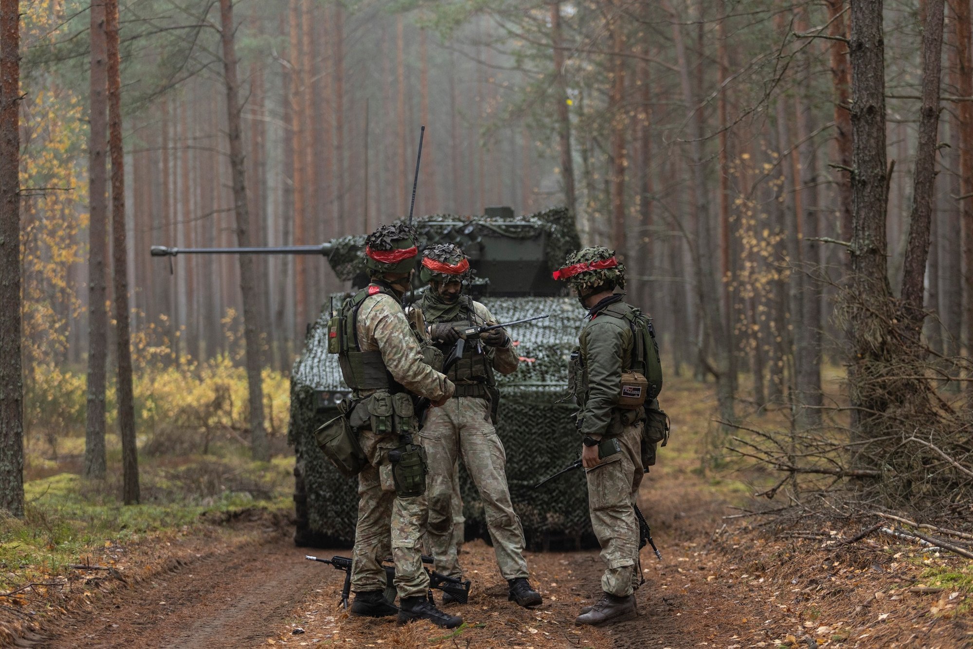 Lithuanian battalion reaches full operational capability with Vilkas ...