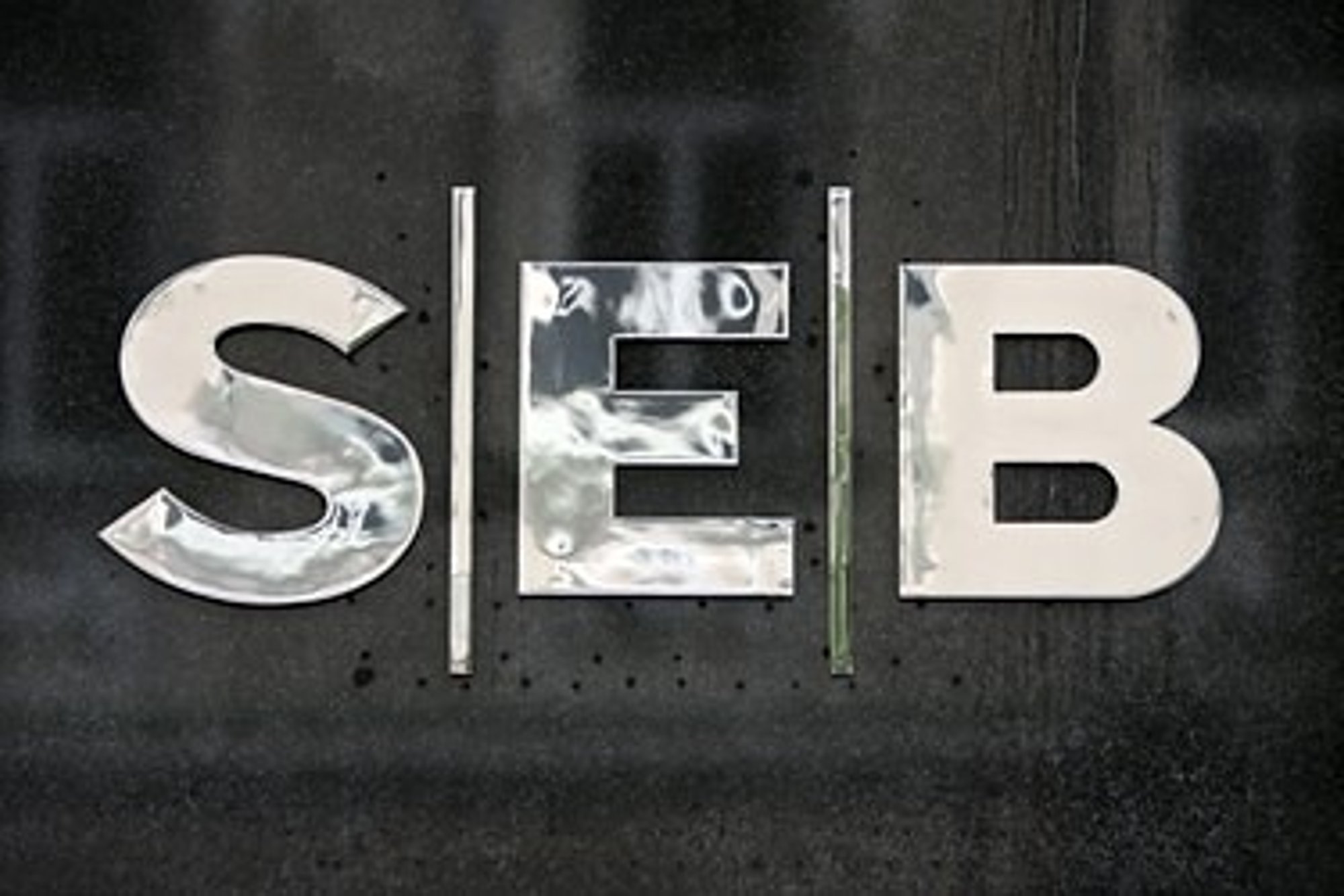 SEB banko grupė Lietuvoje uždirbo 16,2 mln. litų pelno - Delfi verslas