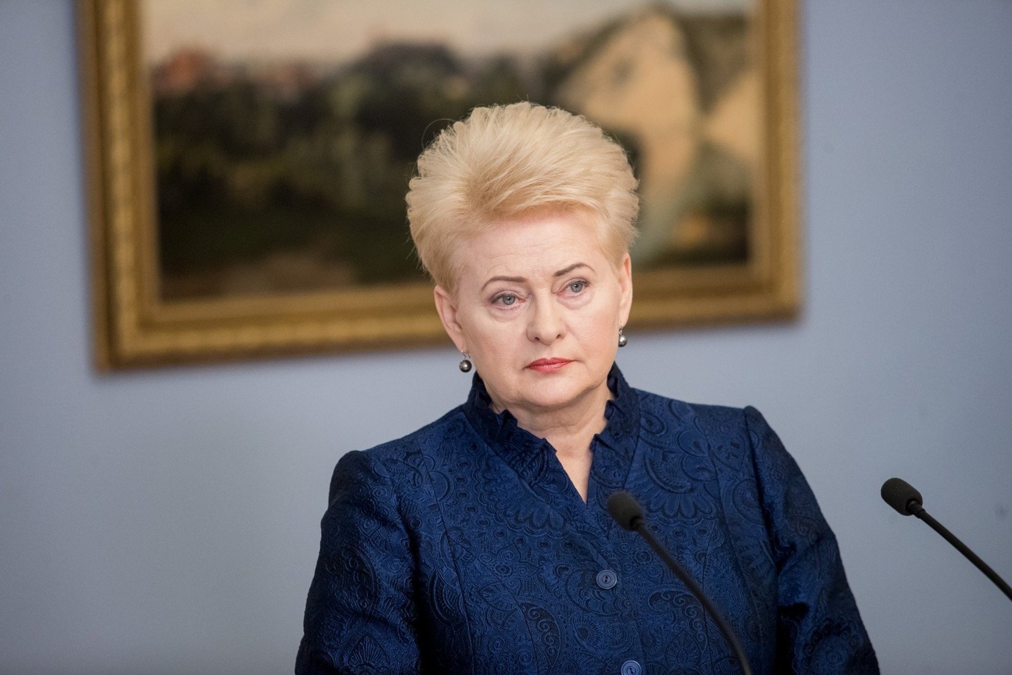 Grybauskaitė premjerui davė tris savaites: ilgiau laukti negalima - Delfi