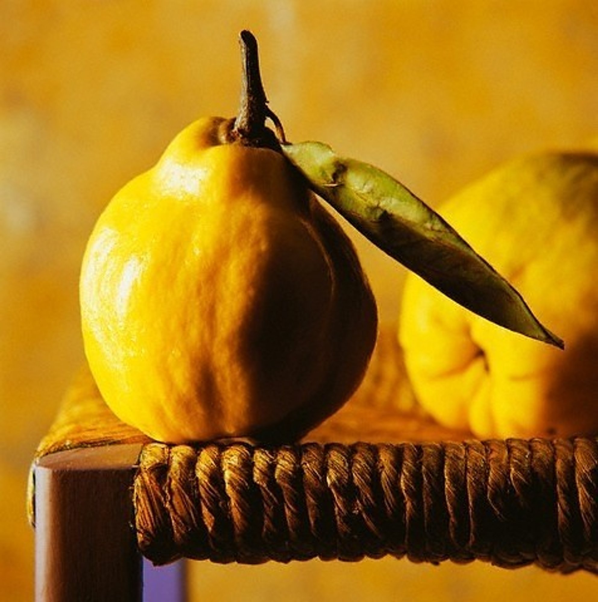 Nepaprastas paprastasis svarainis - Delfi gyvenimas